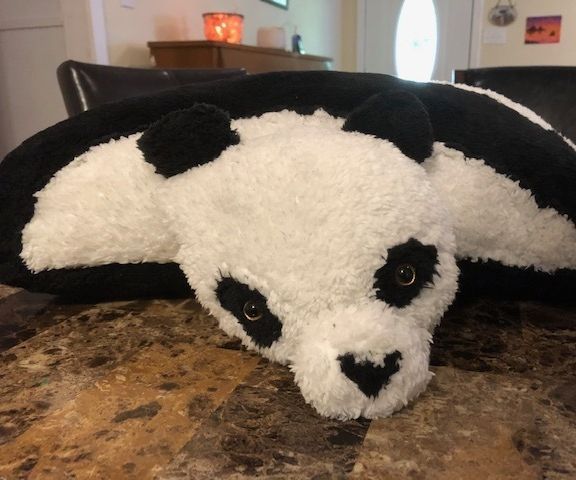 Adorable Panda Pillow Pet : 9 Steps - Instructables