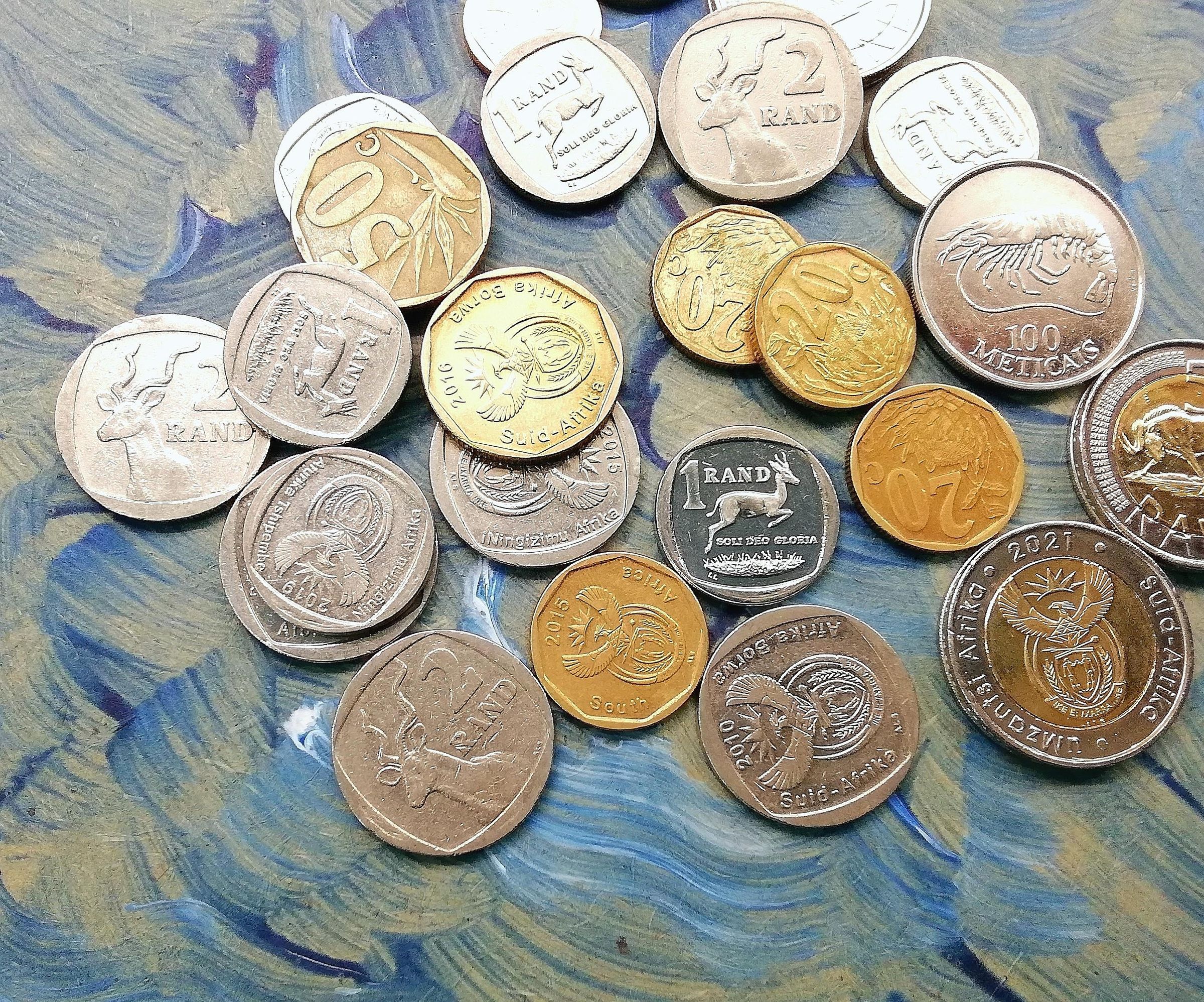 Small Gifts: Coin Animals in Sea Shells : 10 Steps (with Pictures ...