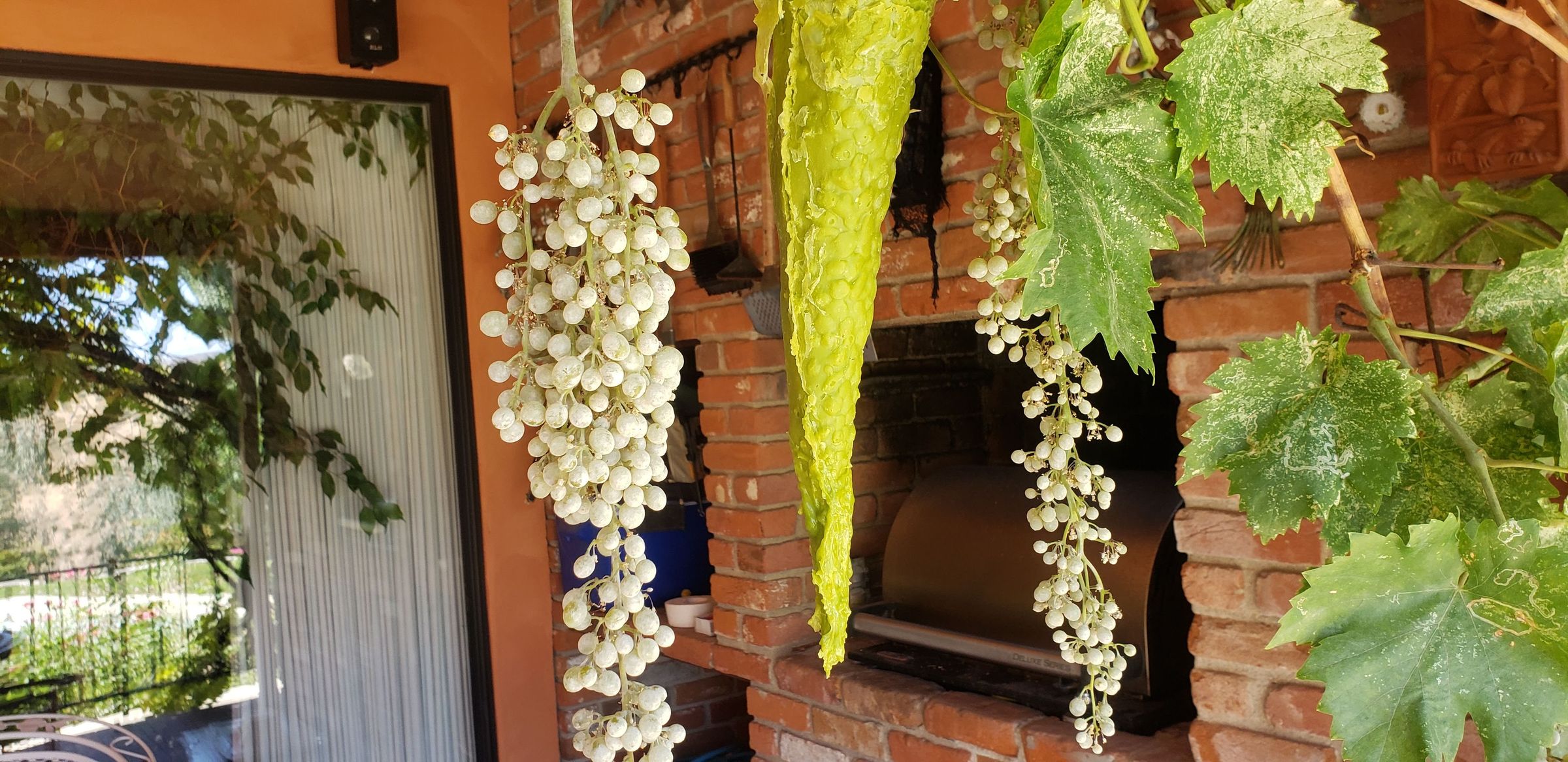 Animatronic Tentacle Vine - AKA Cleopatra, the Rare South American ...