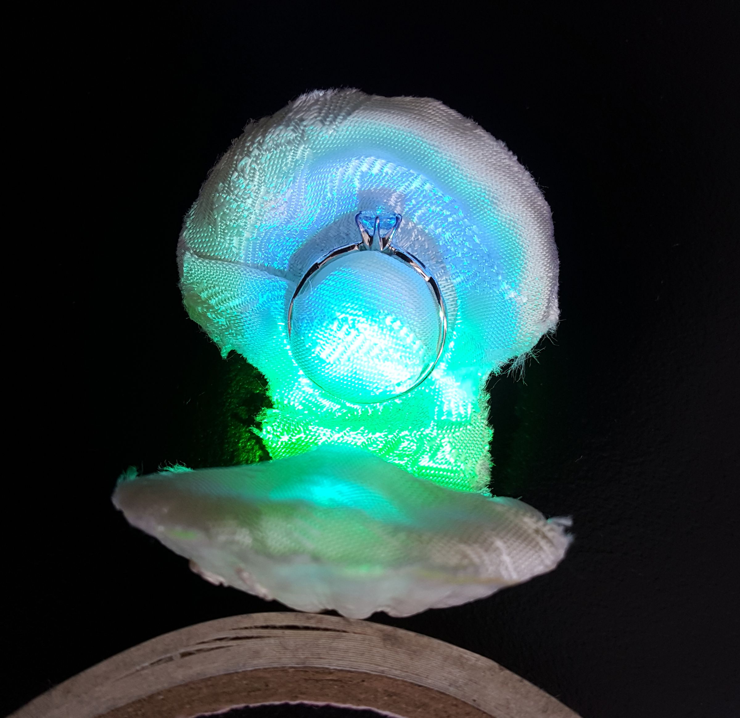 LED-illuminated Seashell Engagement Ring Box : 9 Steps (with Pictures) - Instructables