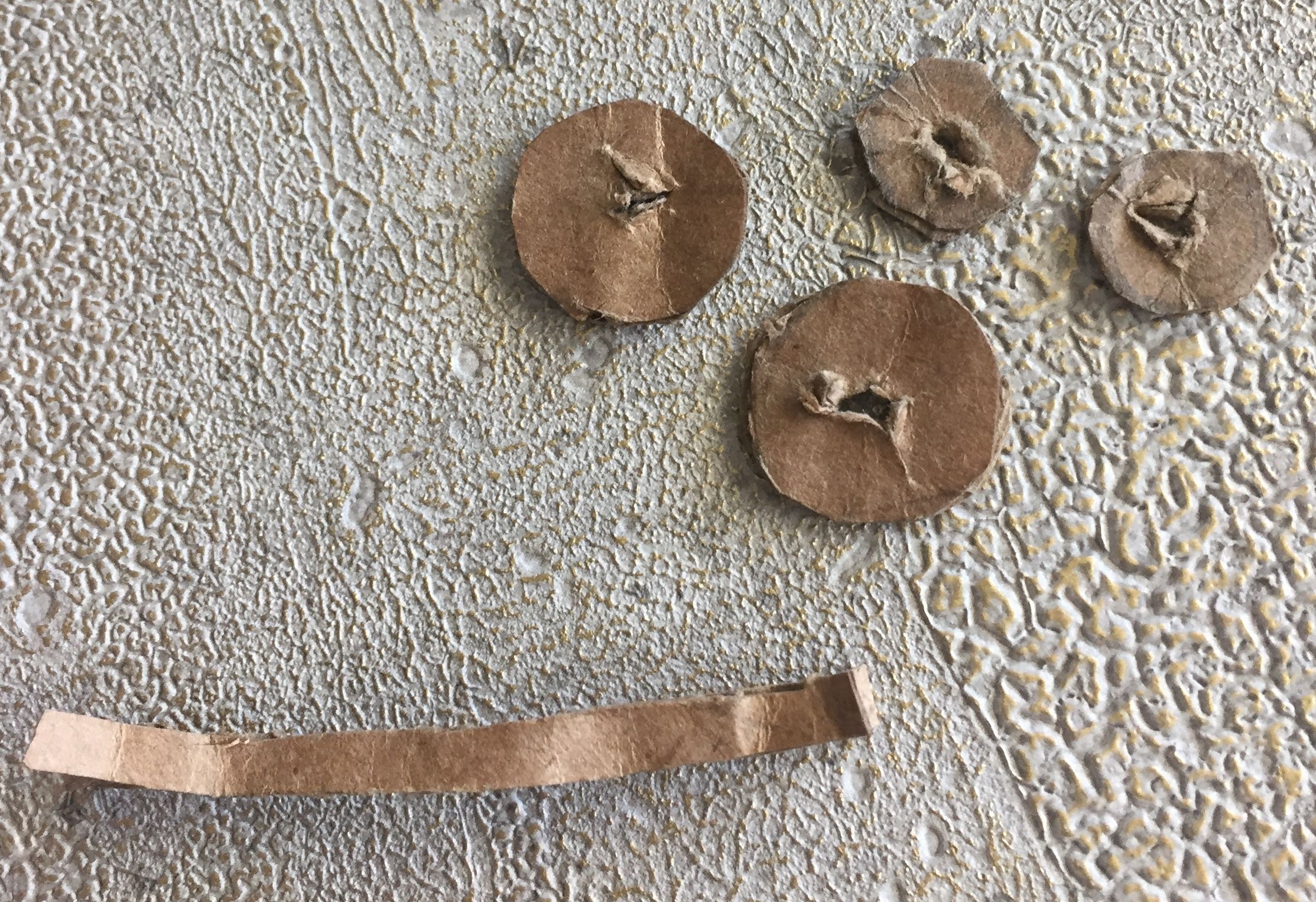 Cardboard Chameleon : 6 Steps - Instructables