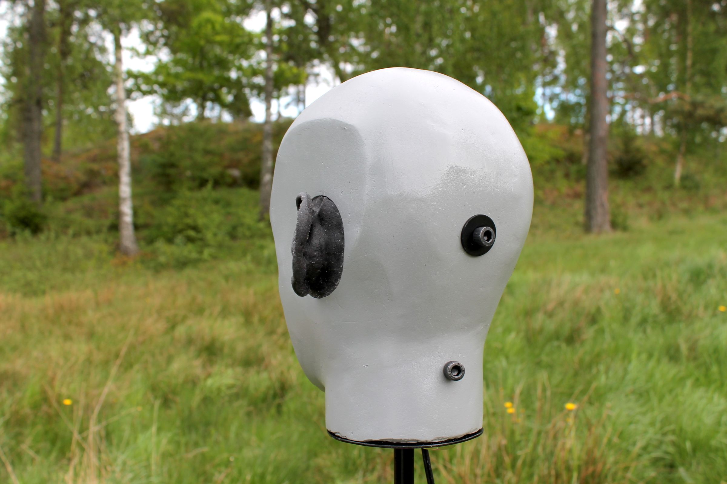 Binaural Head for Stereo Recording : 8 Steps (with Pictures ...