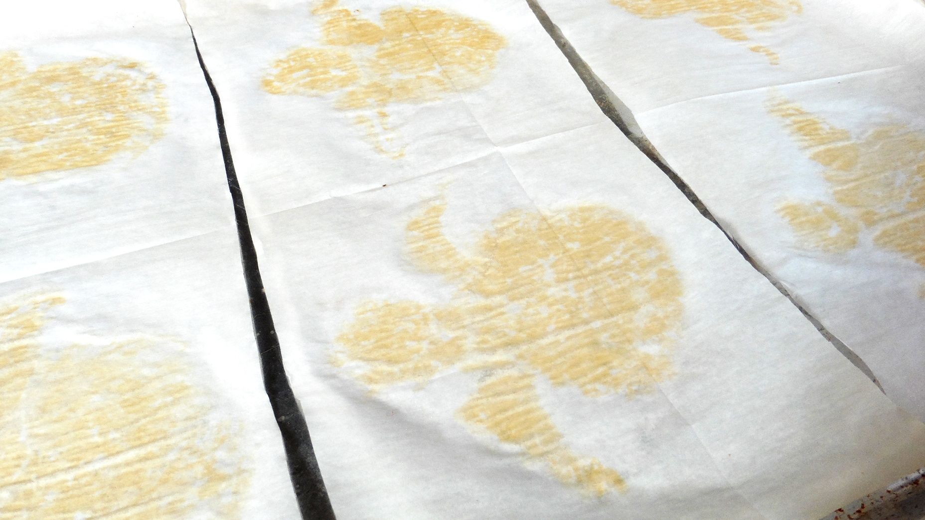 Turtle Bread: Tortuga Conchas : 6 Steps (with Pictures) - Instructables