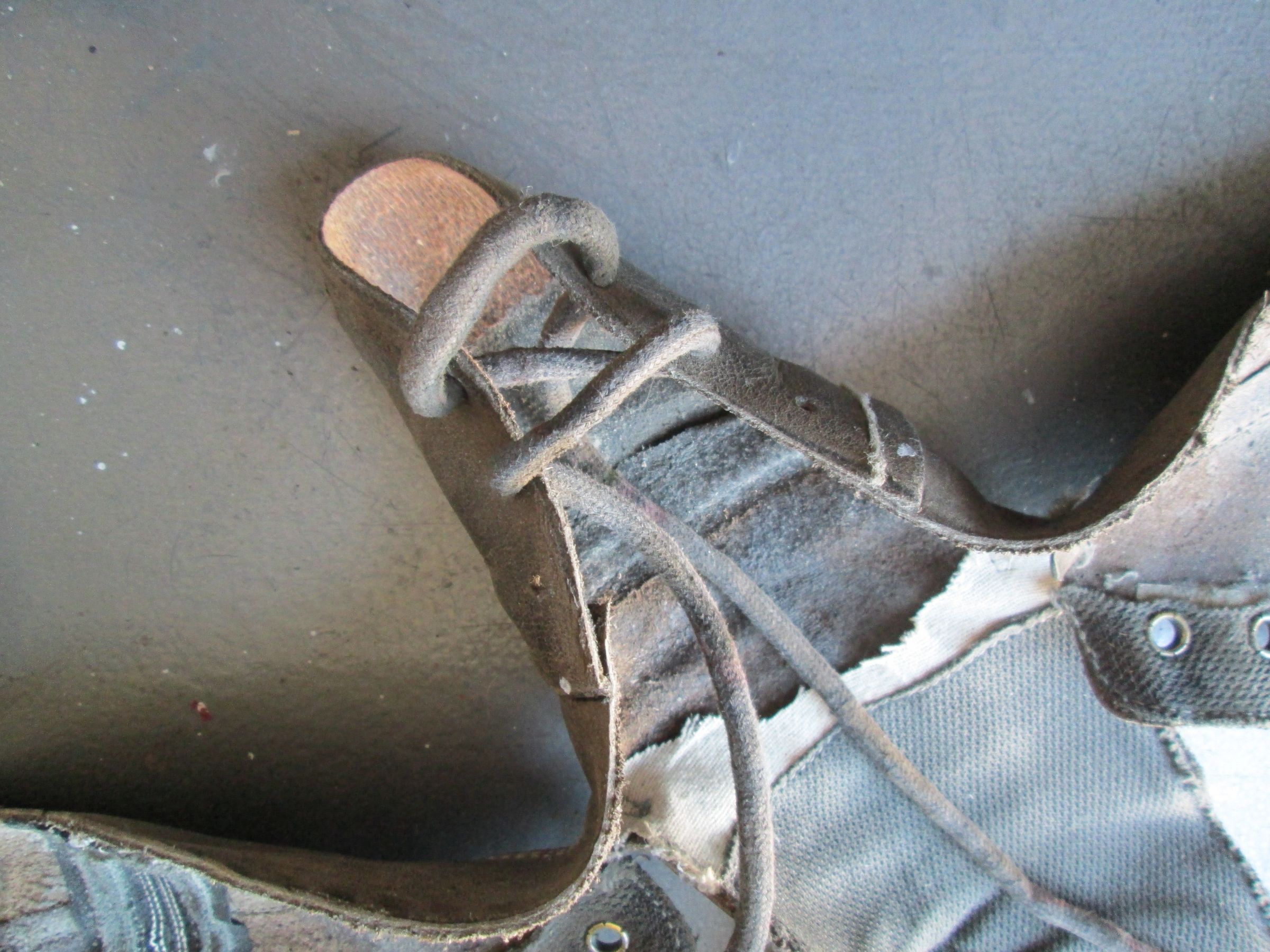 Schubert the Shoe Bird : 8 Steps - Instructables