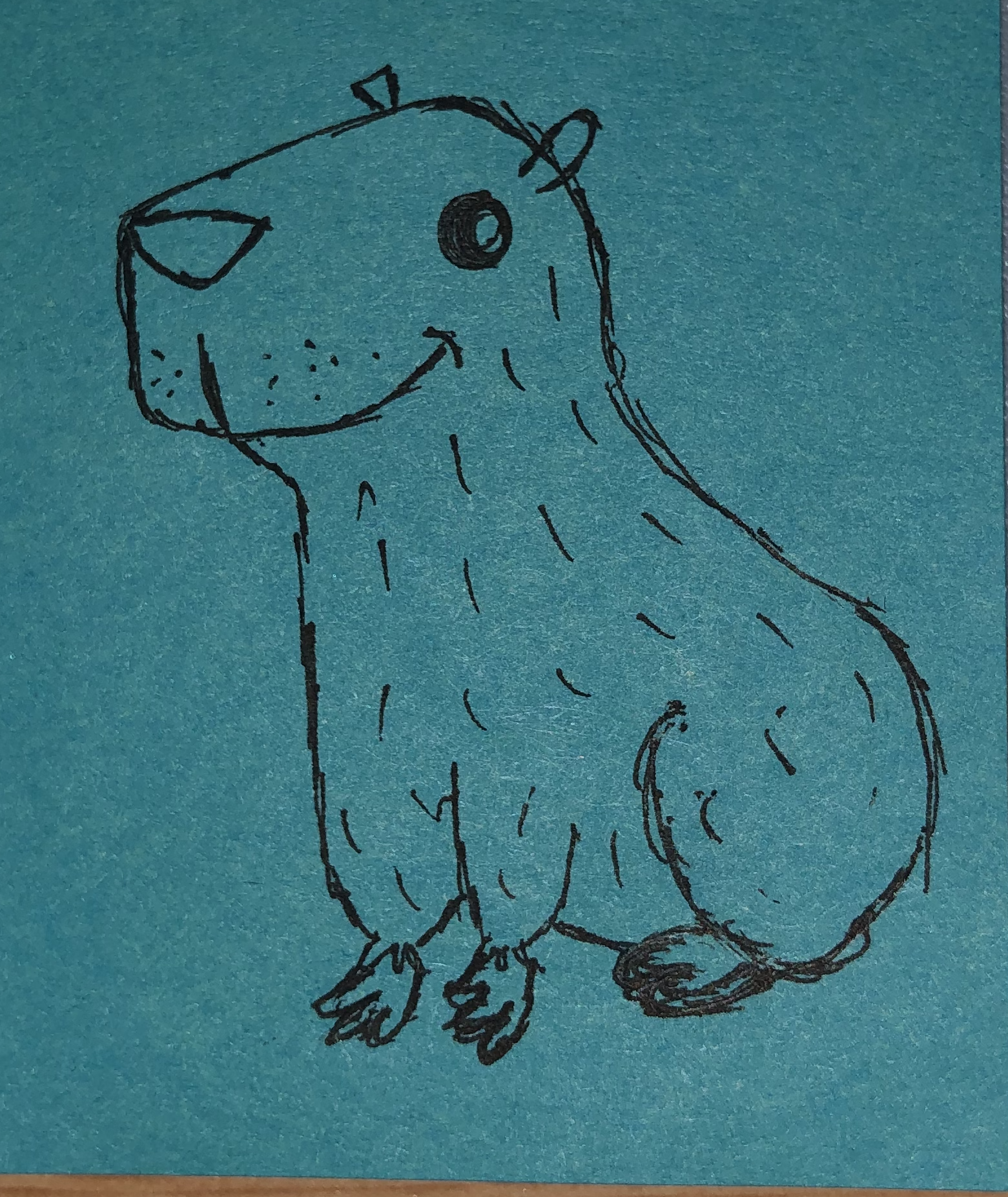Capybara Interactive Puzzle : 6 Steps (with Pictures) - Instructables