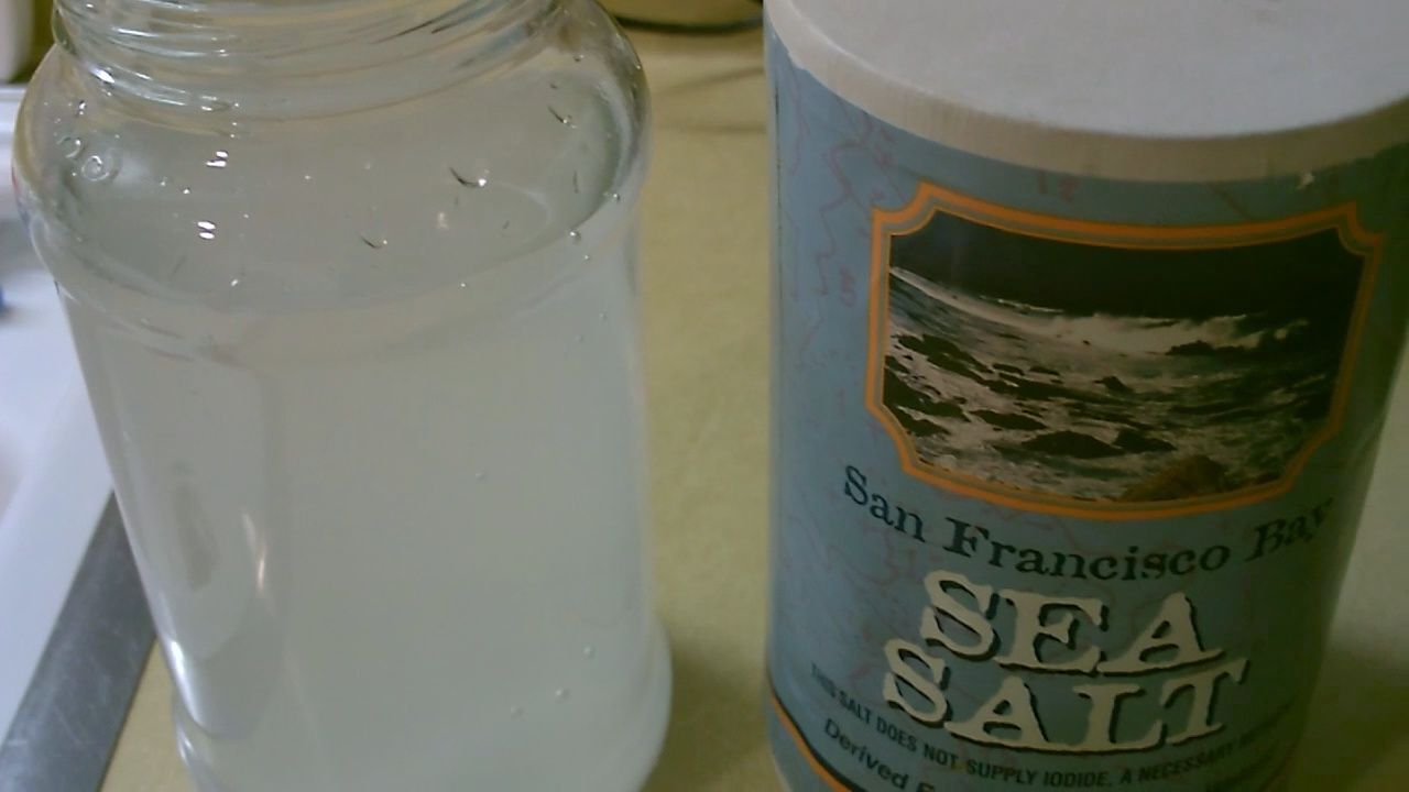 Homemade Water Distiller! - the Deluxe (Stainless Steel) Pure Water ...