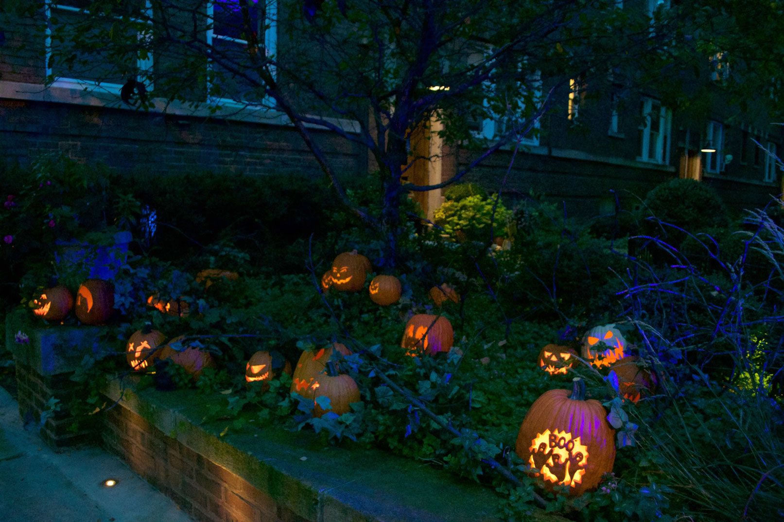 Singing Pumpkins Illusion DIY Guide : 7 Steps (with Pictures ...