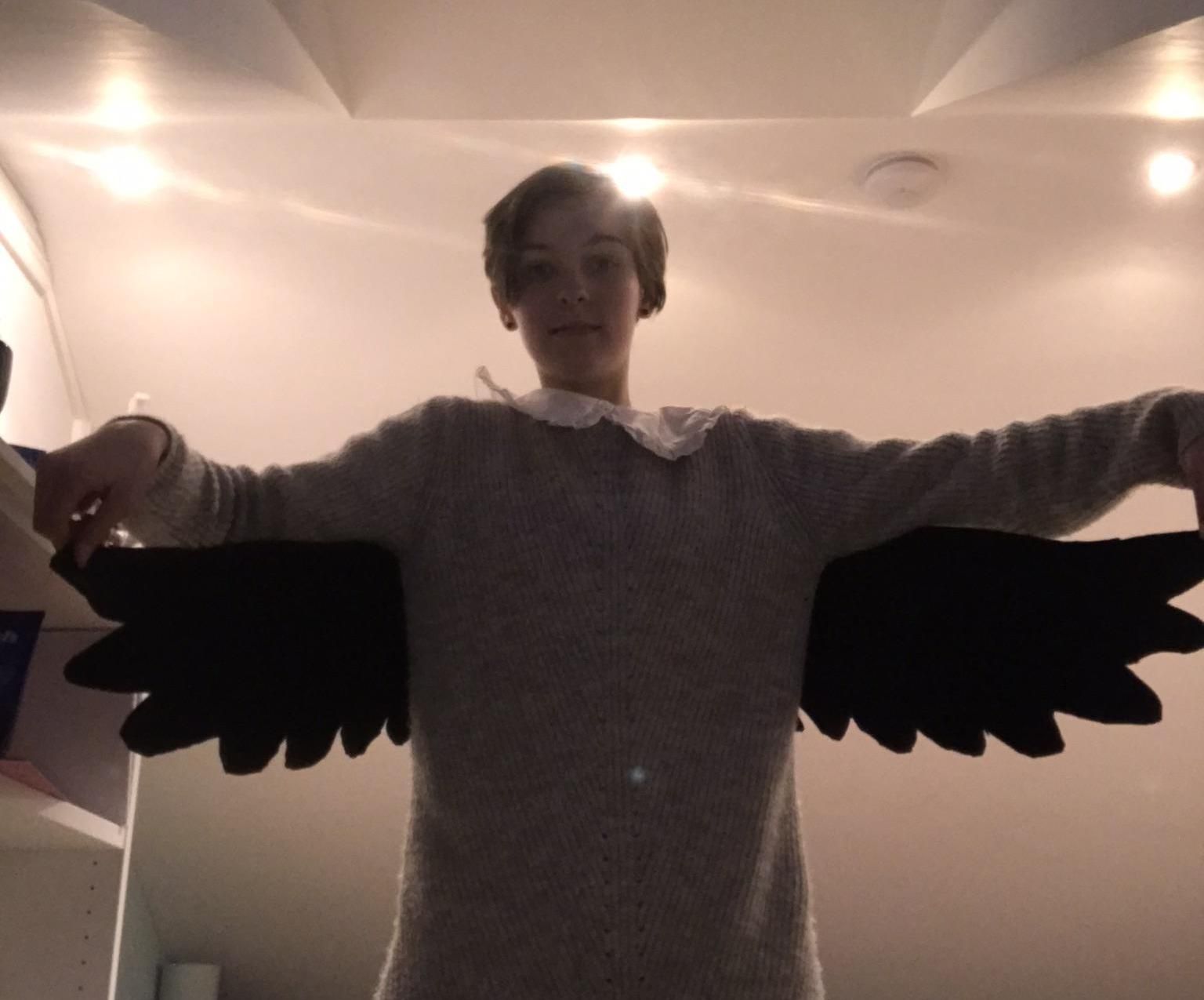 Easy Cosplay Wings : 5 Steps (with Pictures) - Instructables