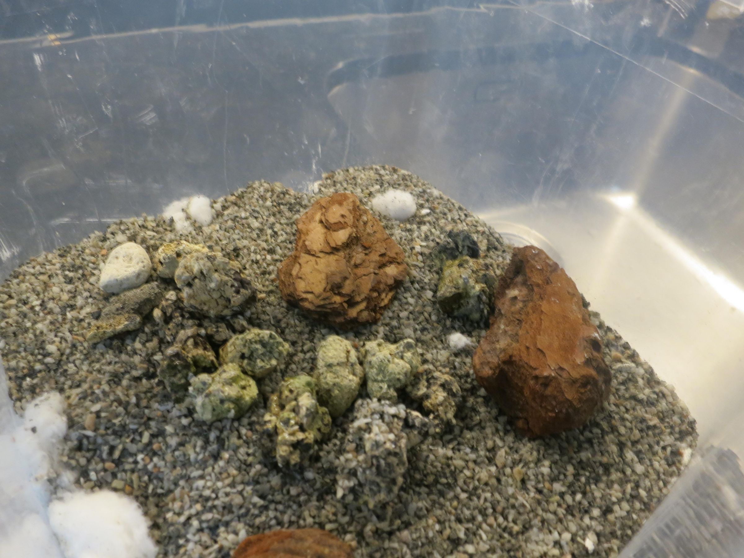 Plaster Ant Nest-formicarium : 9 Steps - Instructables
