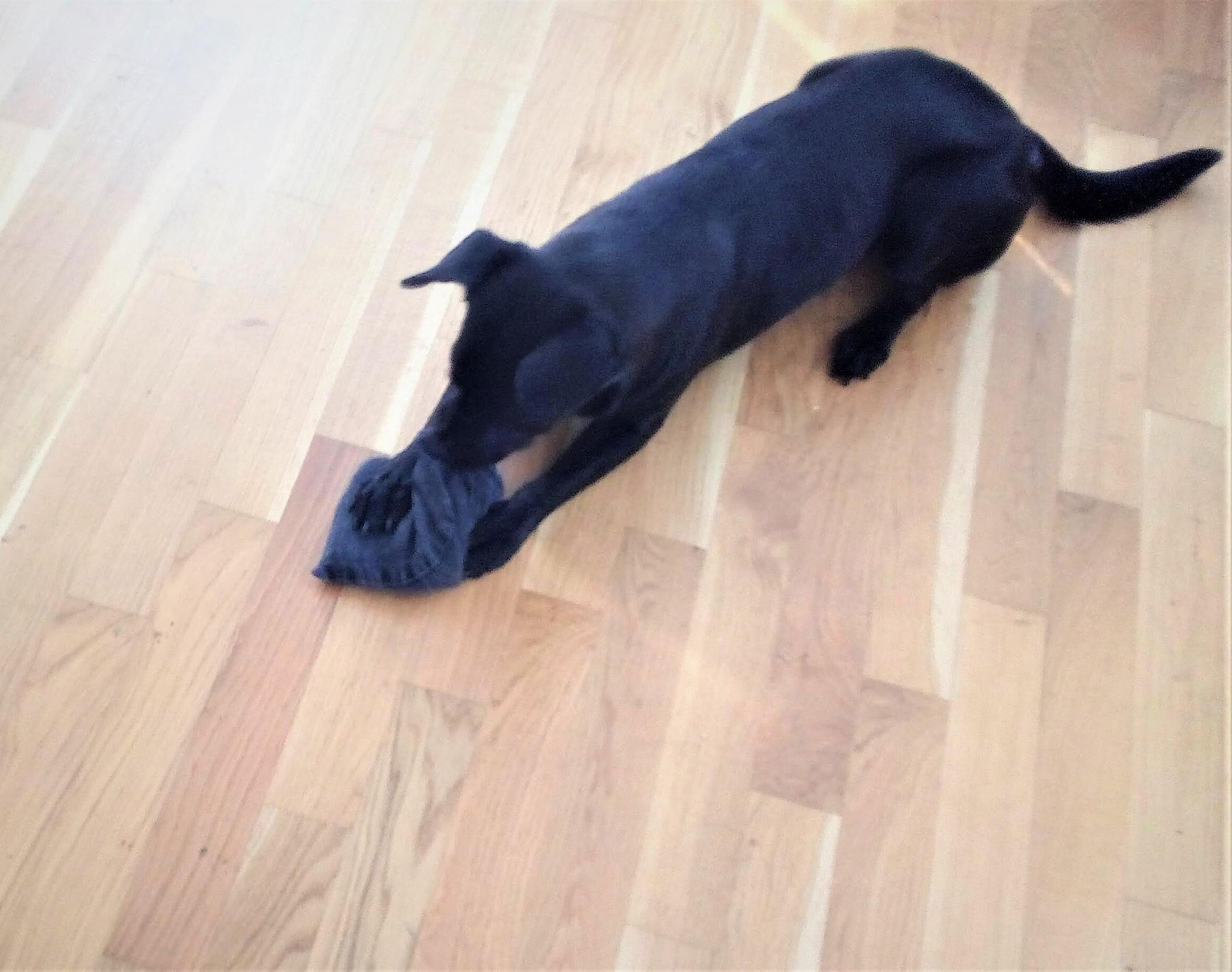 Dummy / Dog Toy : 7 Steps - Instructables