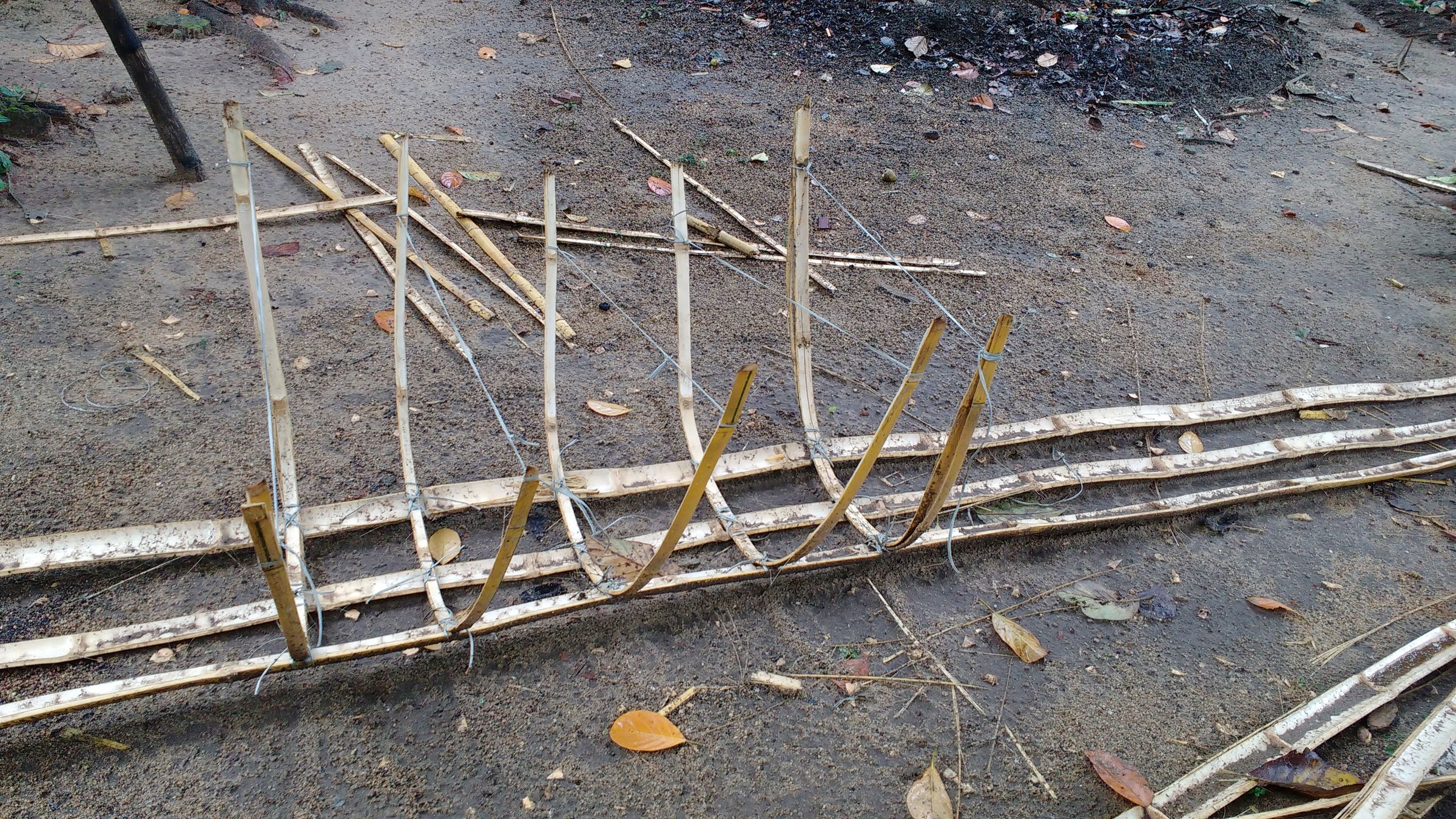 Bamboo Canoe : 6 Steps (with Pictures) - Instructables