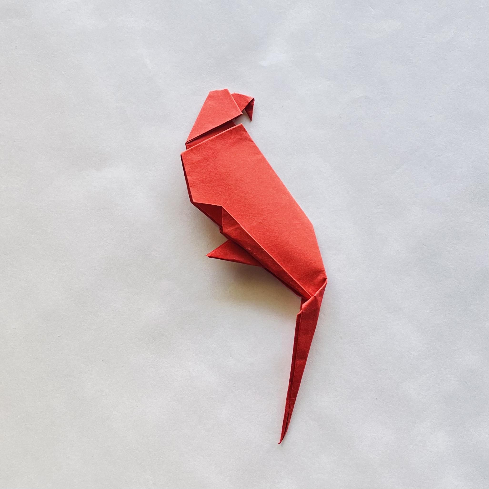 How to Fold an Origami Parrot : 13 Steps (with Pictures) - Instructables
