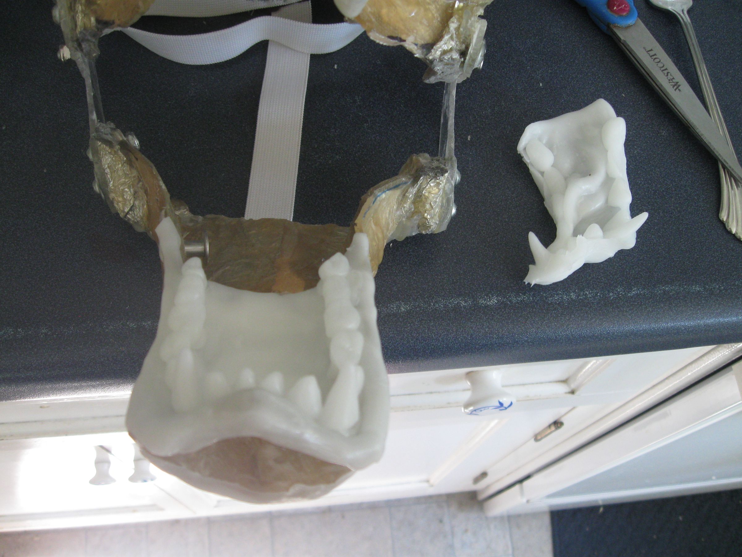 Making a Cat(?) Mask With Fiberglass : 18 Steps (with Pictures ...