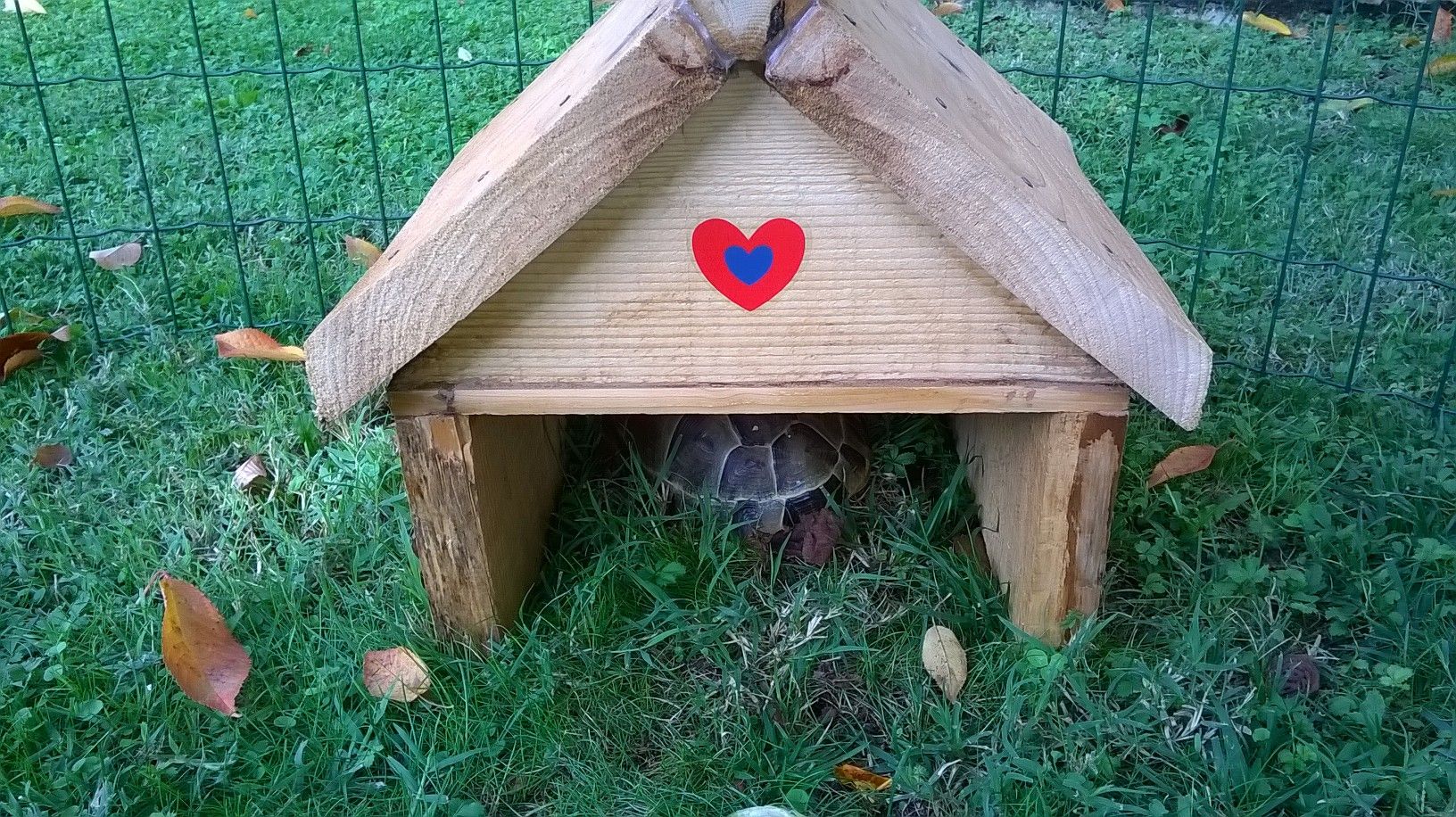 Home Made Turtle House : 6 Steps (with Pictures) - Instructables