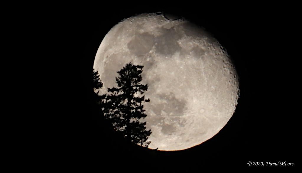 Moon Photography Guide for Beginners (using an Entry-level Camera and ...
