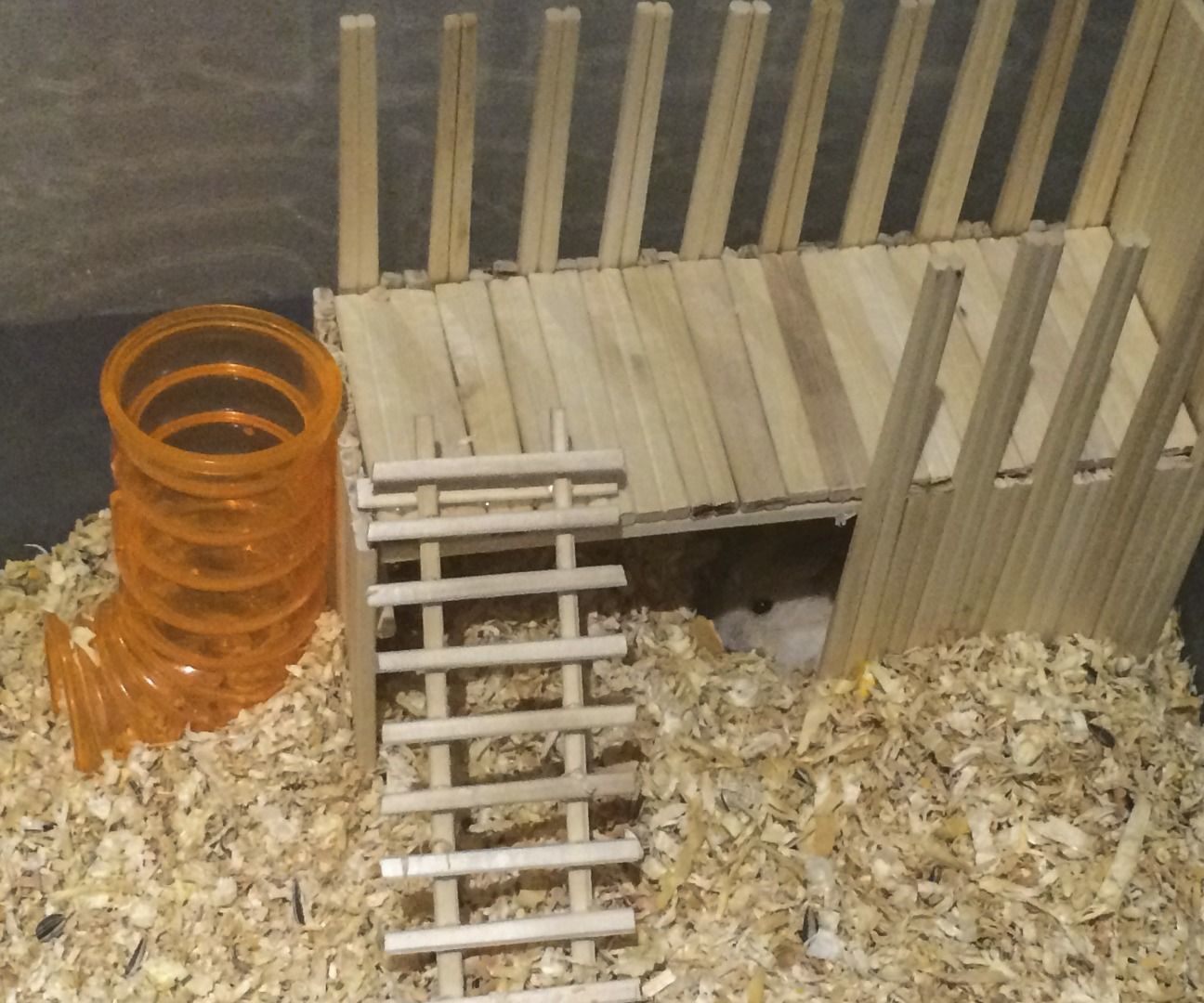 Chopstick Hamster Structure : 4 Steps (with Pictures) - Instructables