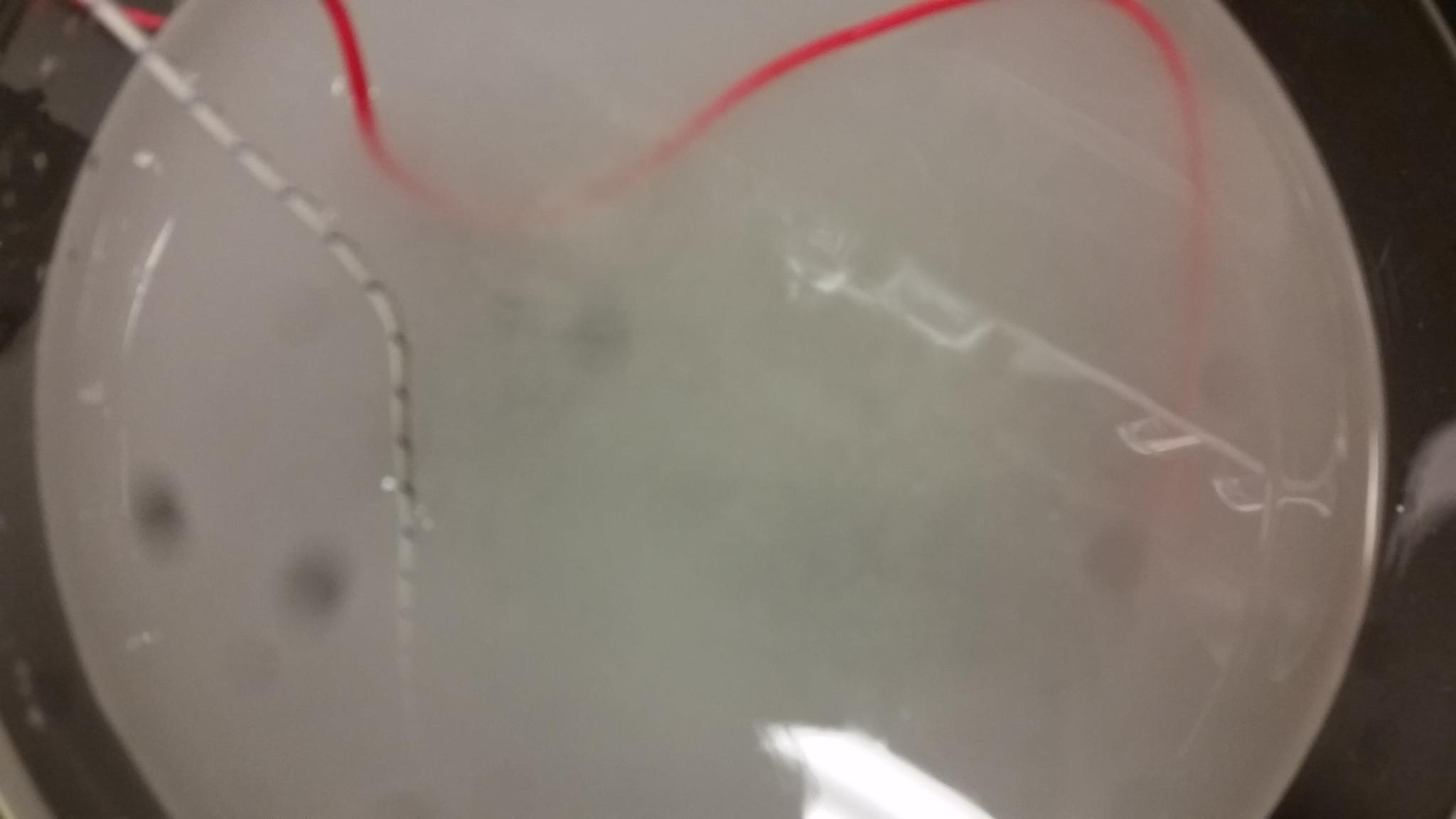 Design and Development of a Portable Electrolytic Oxygen Generator ...