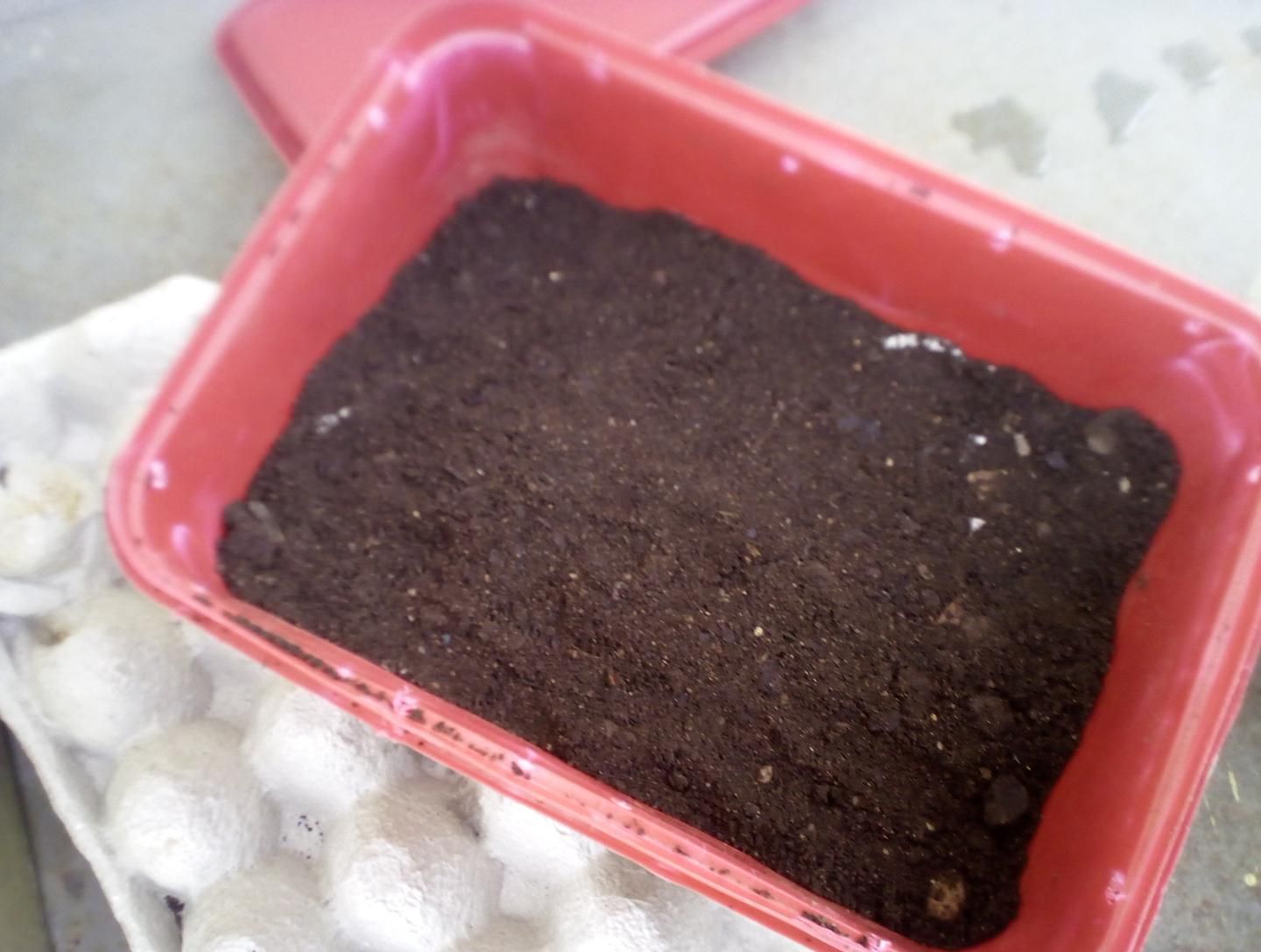 Mini Wormery (easy) : 6 Steps - Instructables