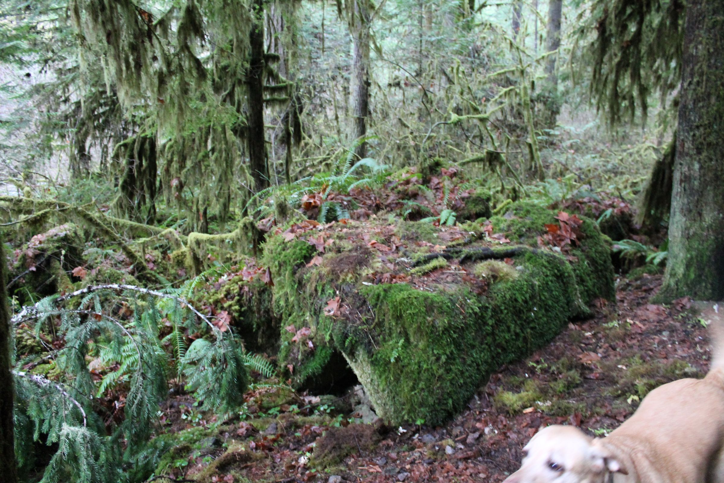 Letterboxing: the Secret Scavenger Hunt Game : 12 Steps (with Pictures ...