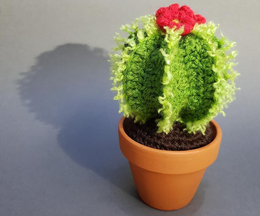 A Cuddly Cactus : 14 Steps (with Pictures) - Instructables
