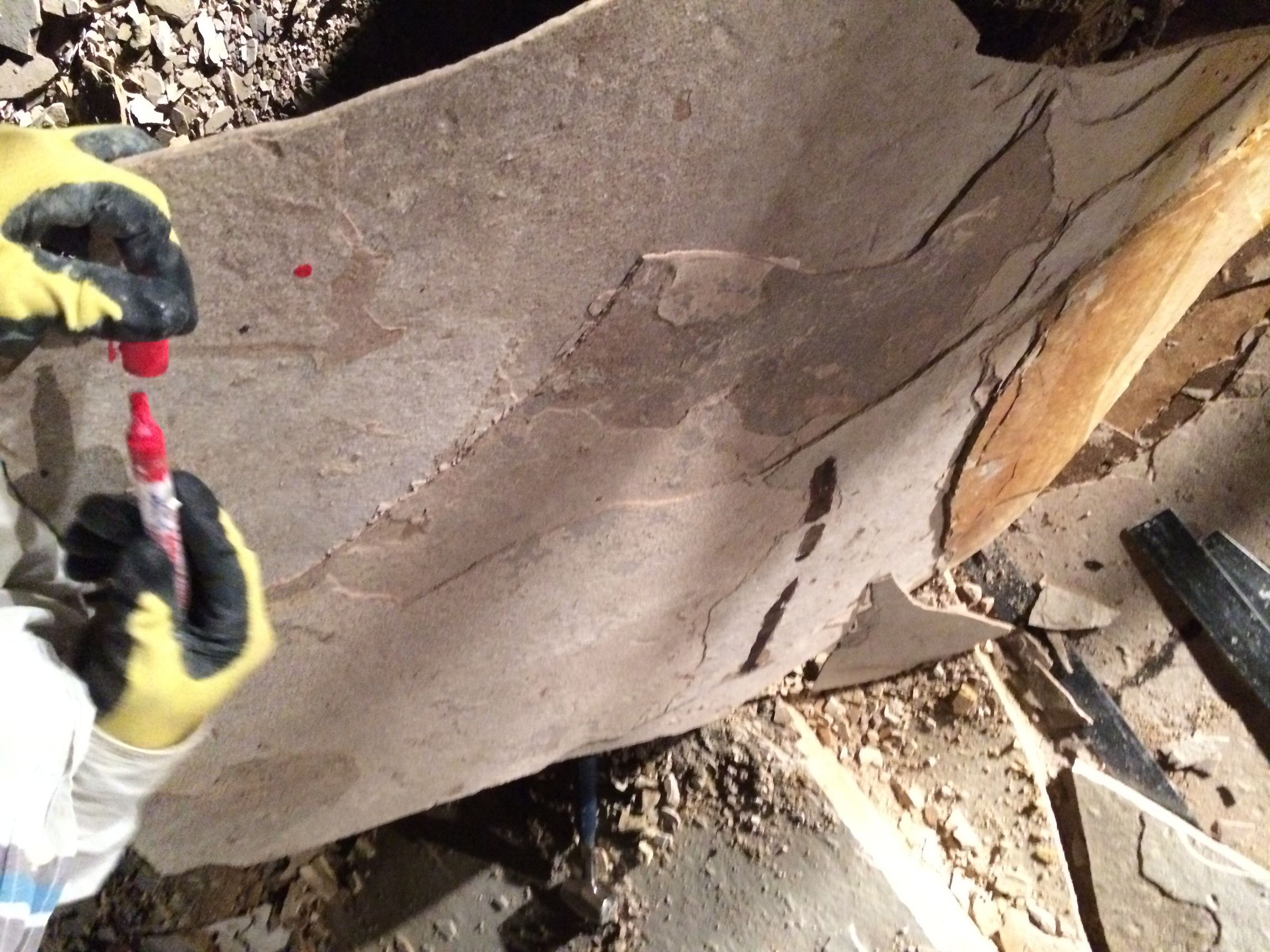 Split Limestone to Find Fossils!! : 4 Steps (with Pictures) - Instructables