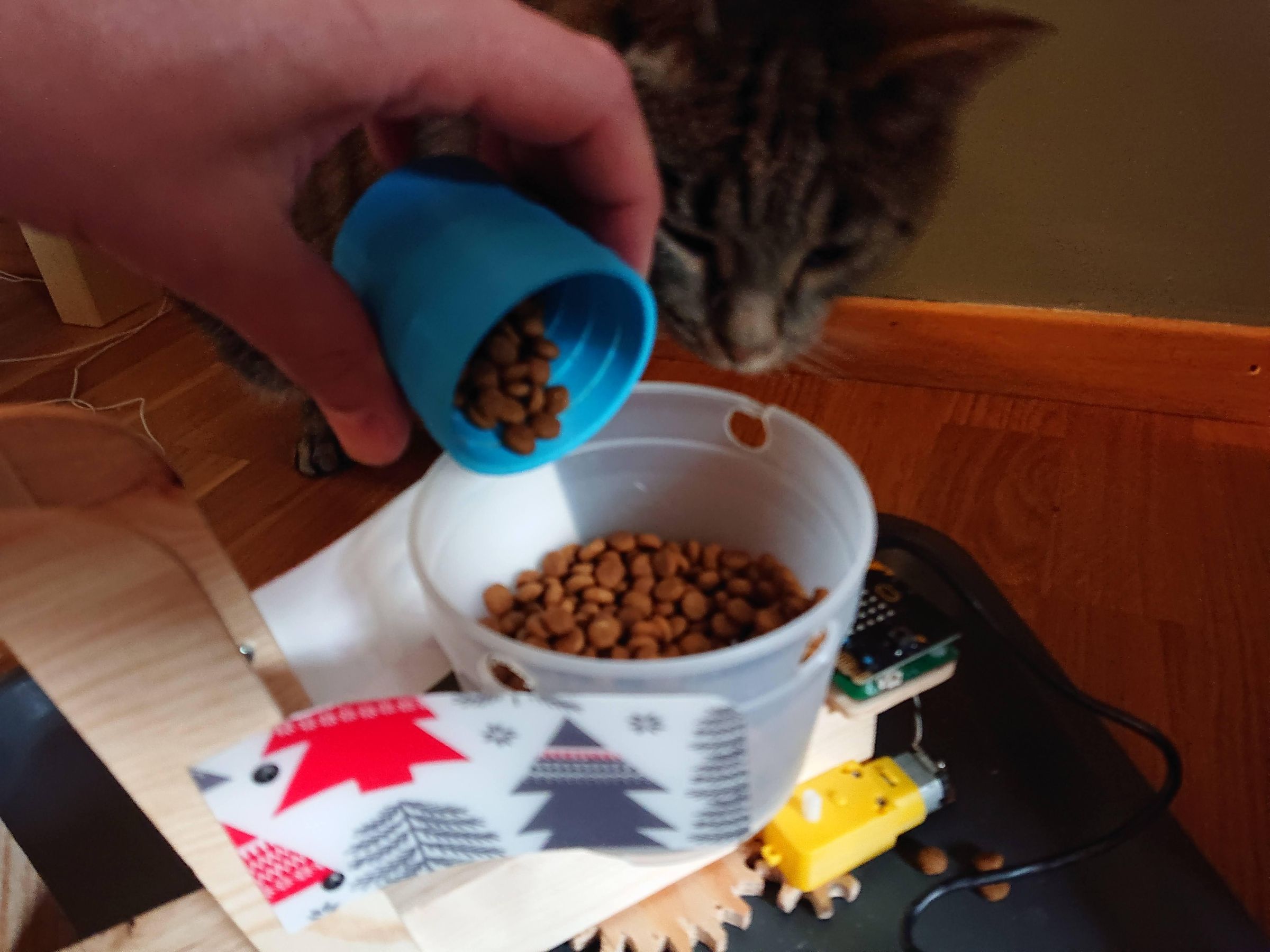 Simple and Reliable Cat Feeder With Block Programming : 14 Steps (with ...