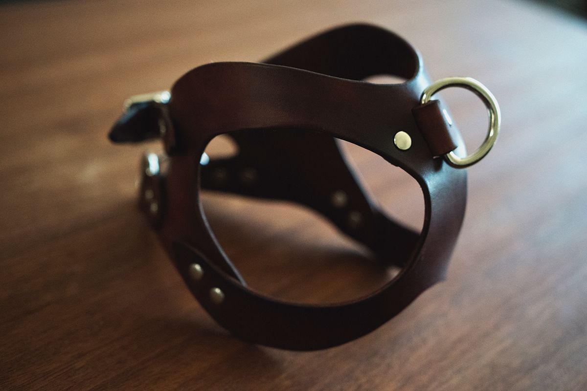 Making a Custom Leather Dog Harness : 17 Steps (with Pictures ...