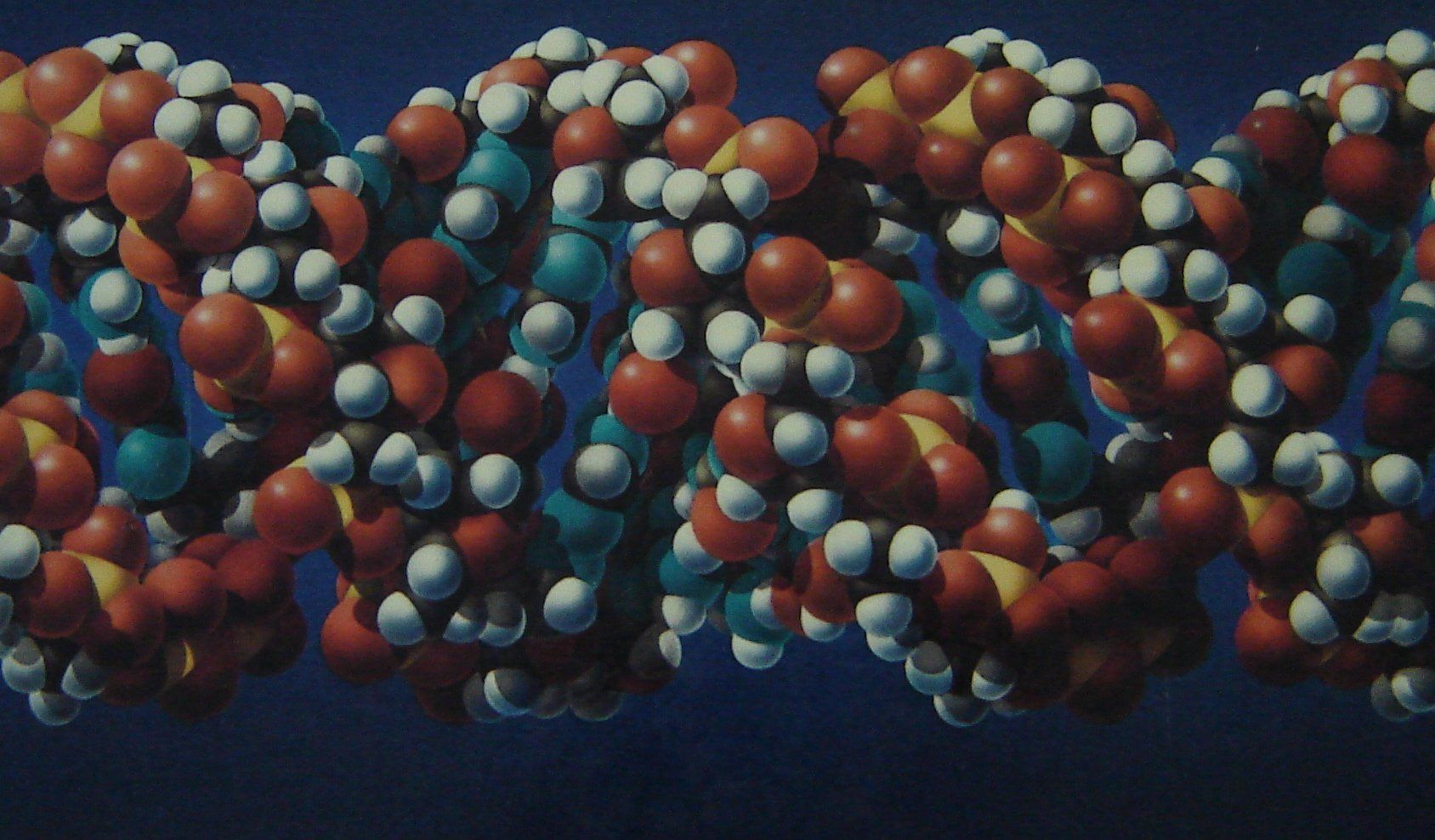 The Double Helix -Glass Bead DNA Model V1.0 : 6 Steps - Instructables