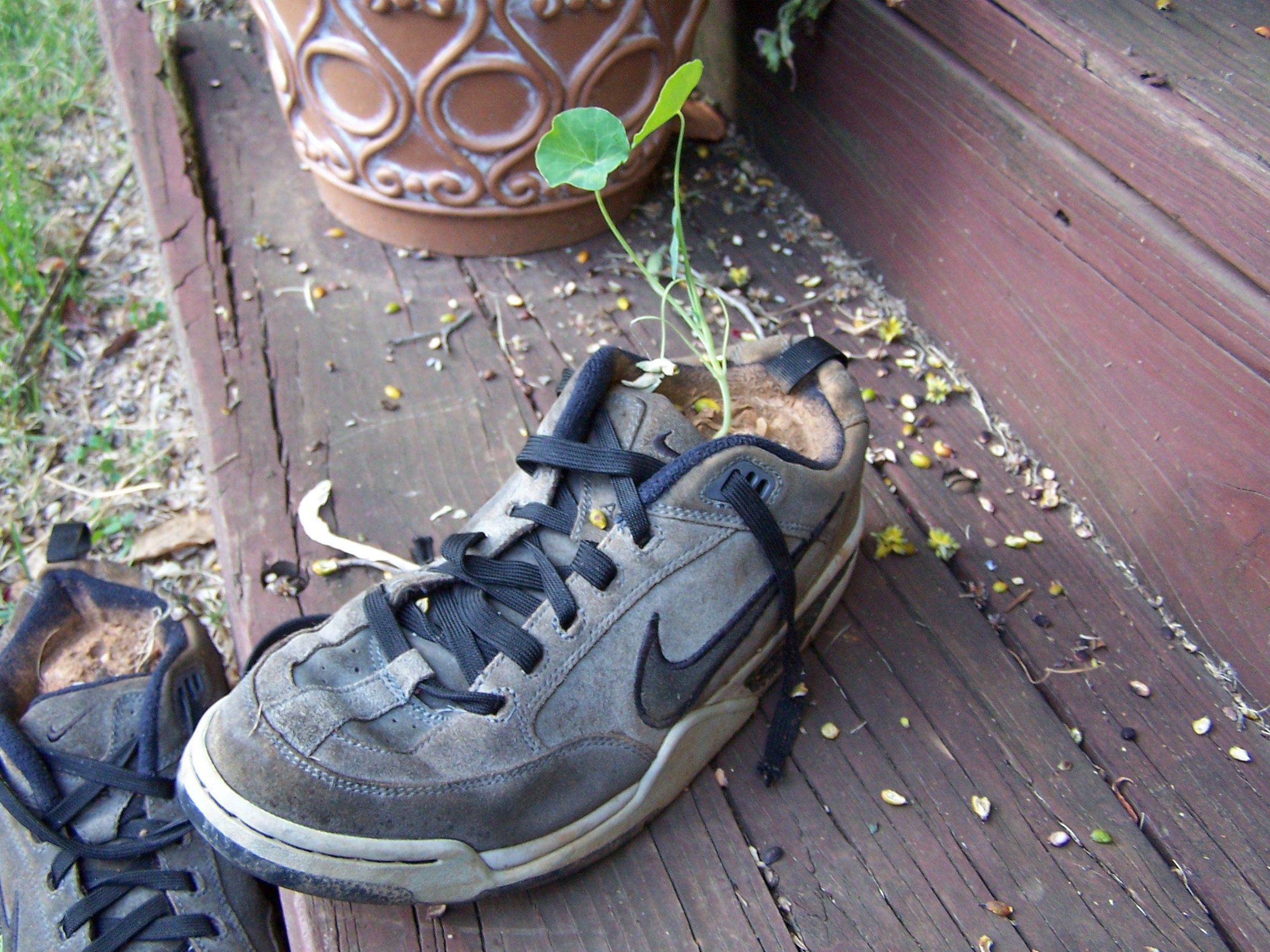 Shoeflower! : 4 Steps (with Pictures) - Instructables