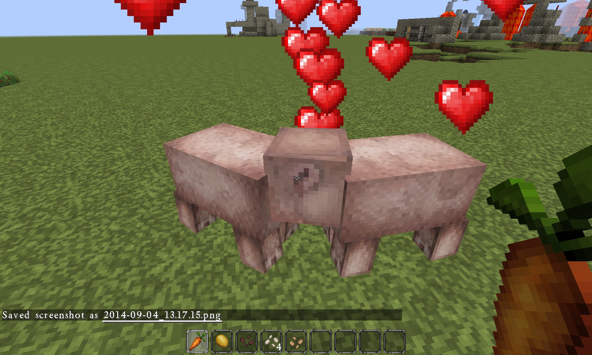 Minecraft Farming 101 : 6 Steps - Instructables