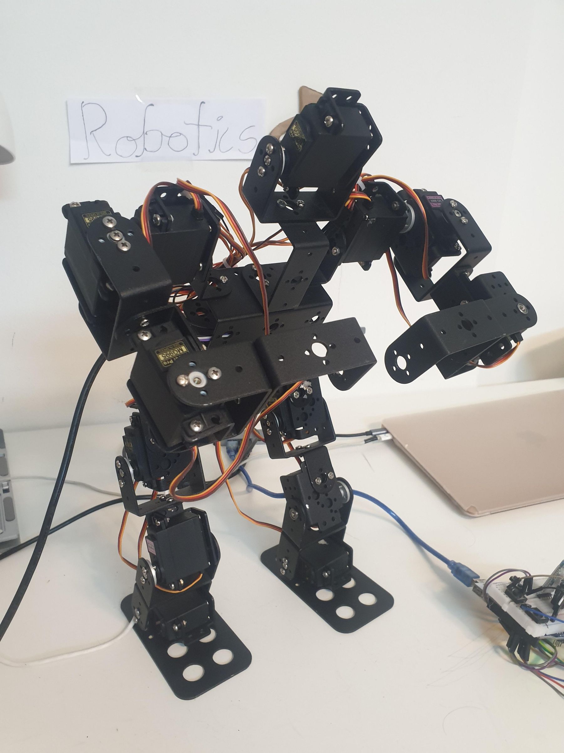 Arduino User Controlled Fighting Robot : 9 Steps - Instructables