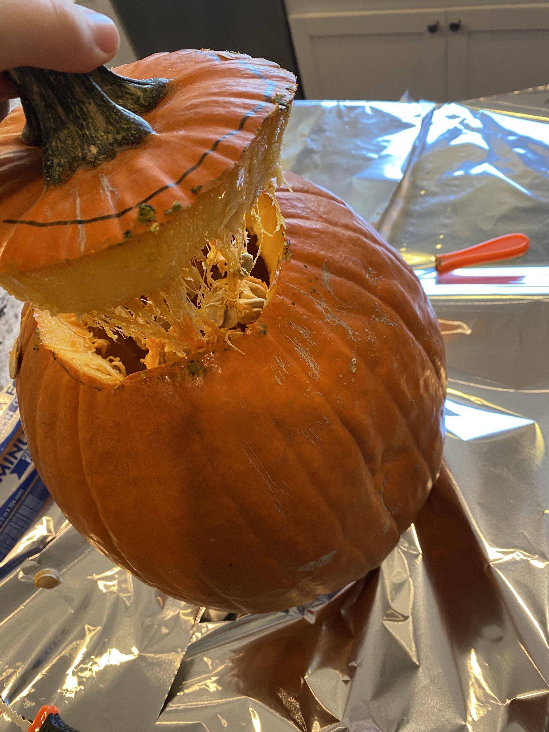 The Pumpkin Cooler : 7 Steps (with Pictures) - Instructables