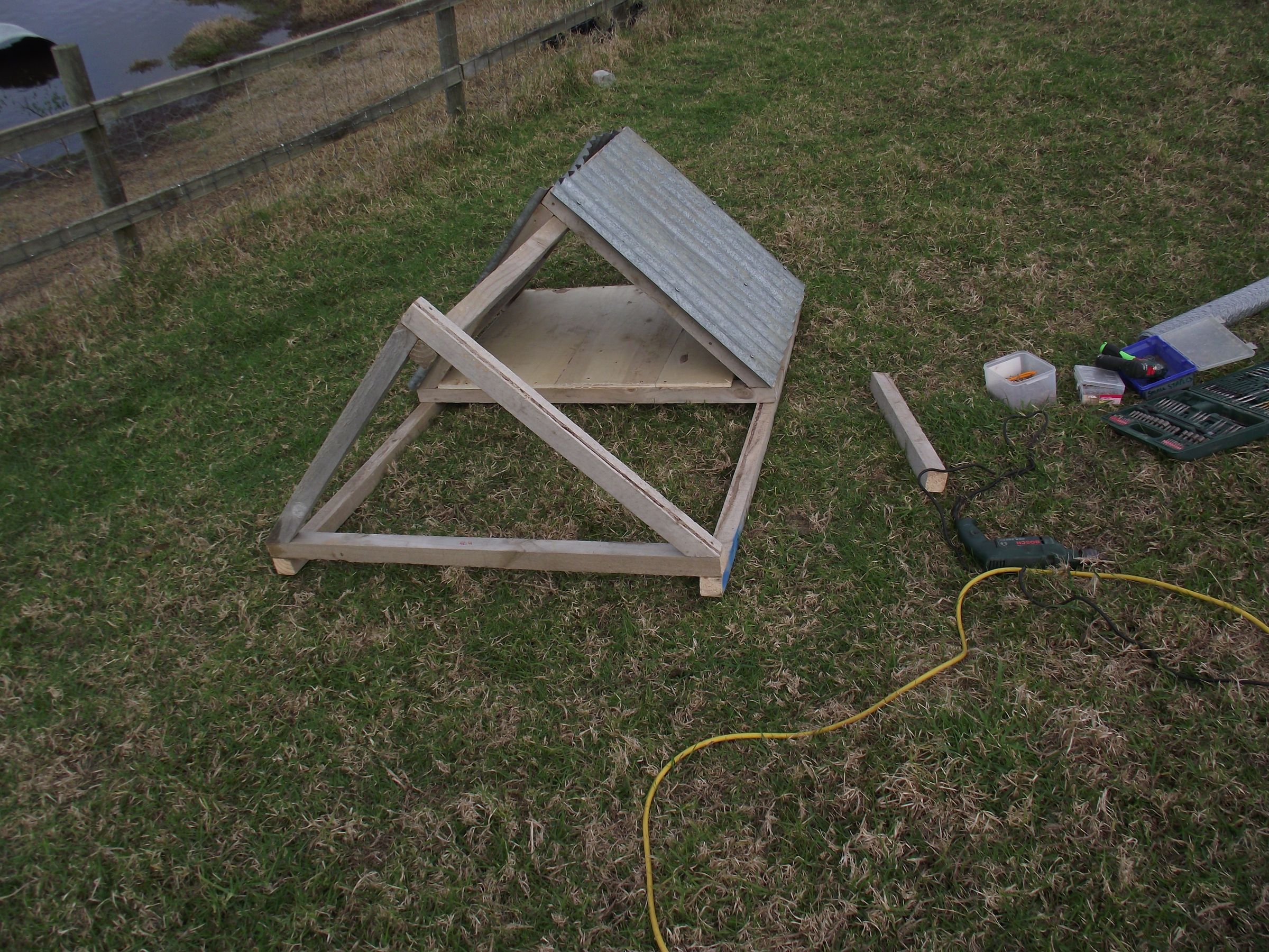 Chicken Accommodation Available for a Handsome, Single Young Man! : 9 ...