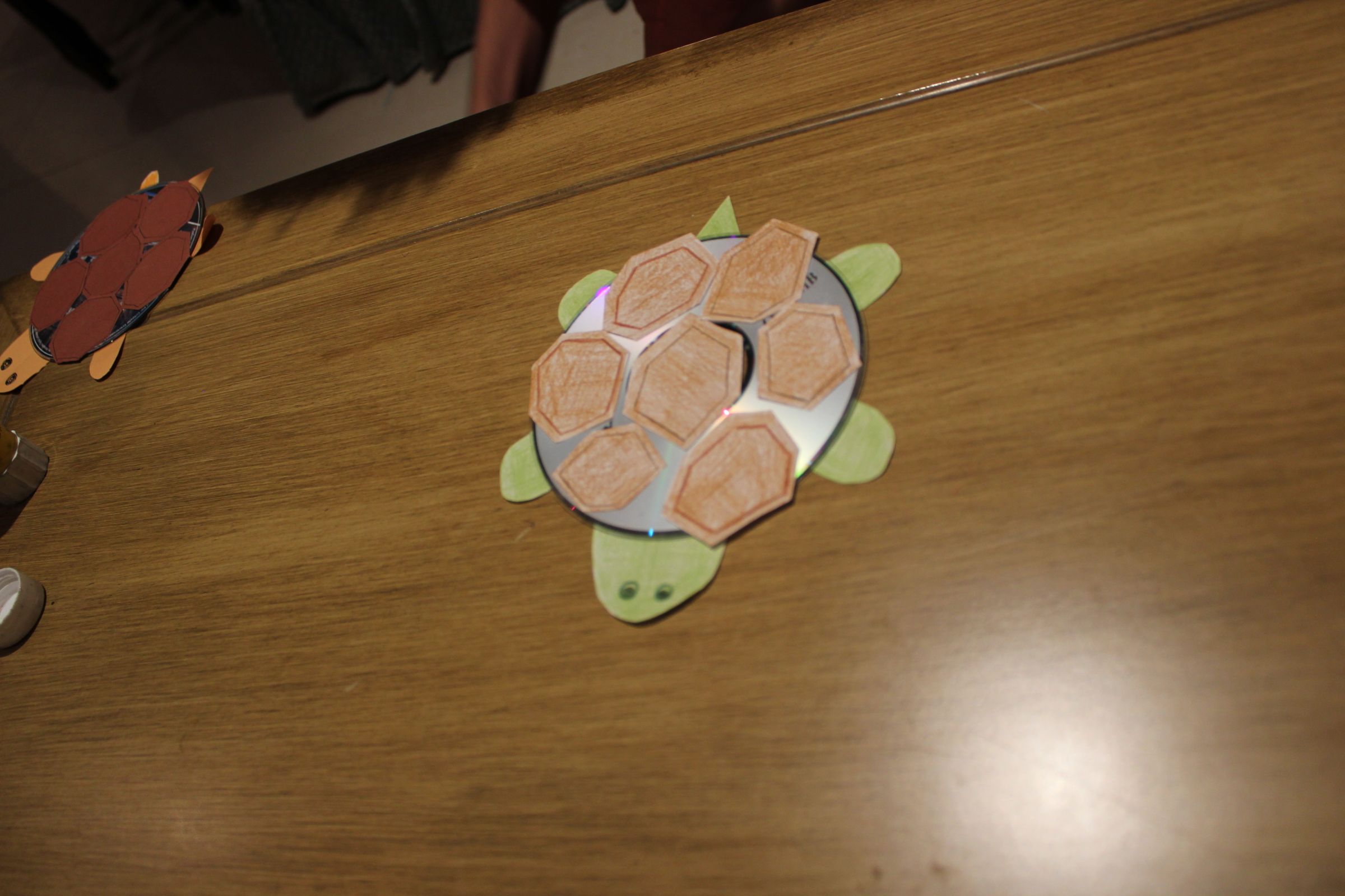 How to Make a Simple Turtle? : 10 Steps - Instructables