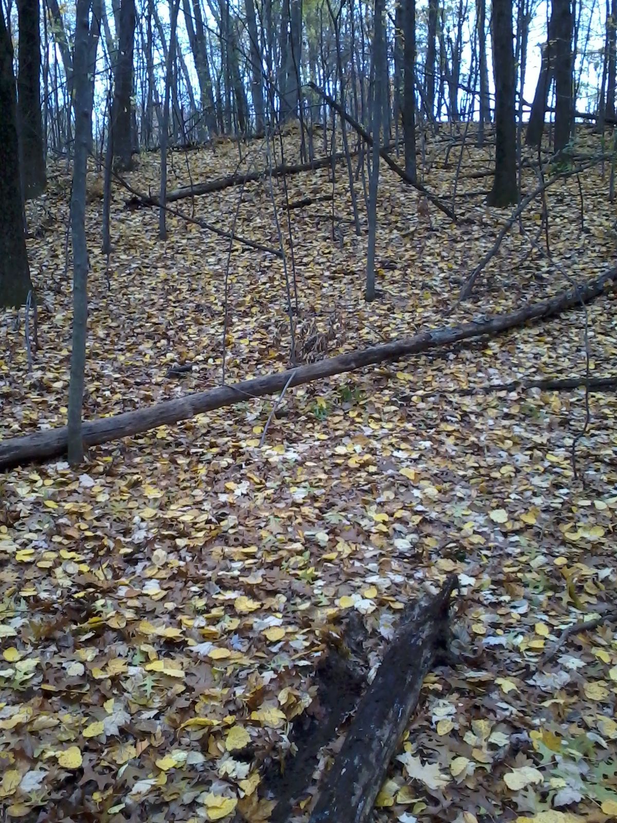 How to Make an Airsoft Base in a Wooded Area : 3 Steps - Instructables