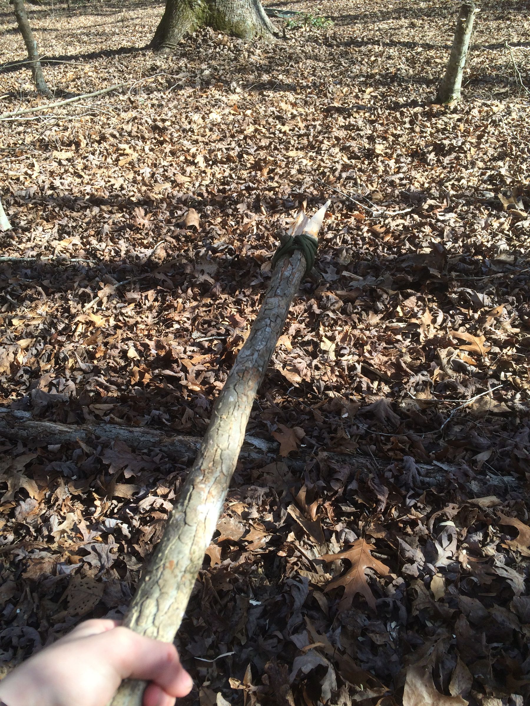 Primitive Spear : 7 Steps (with Pictures) - Instructables