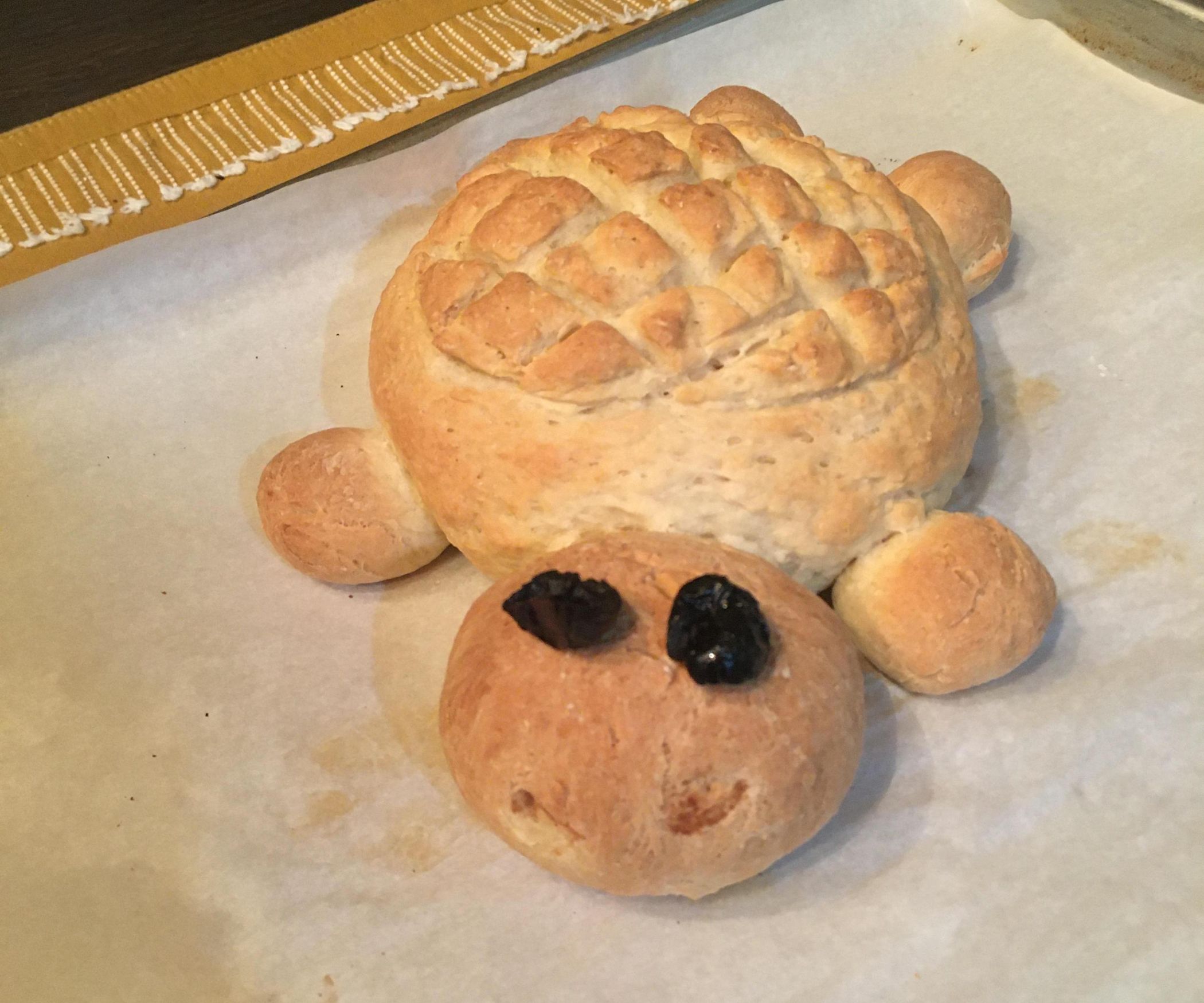 How to Make Turtle Bread 🐢 : 14 Steps - Instructables