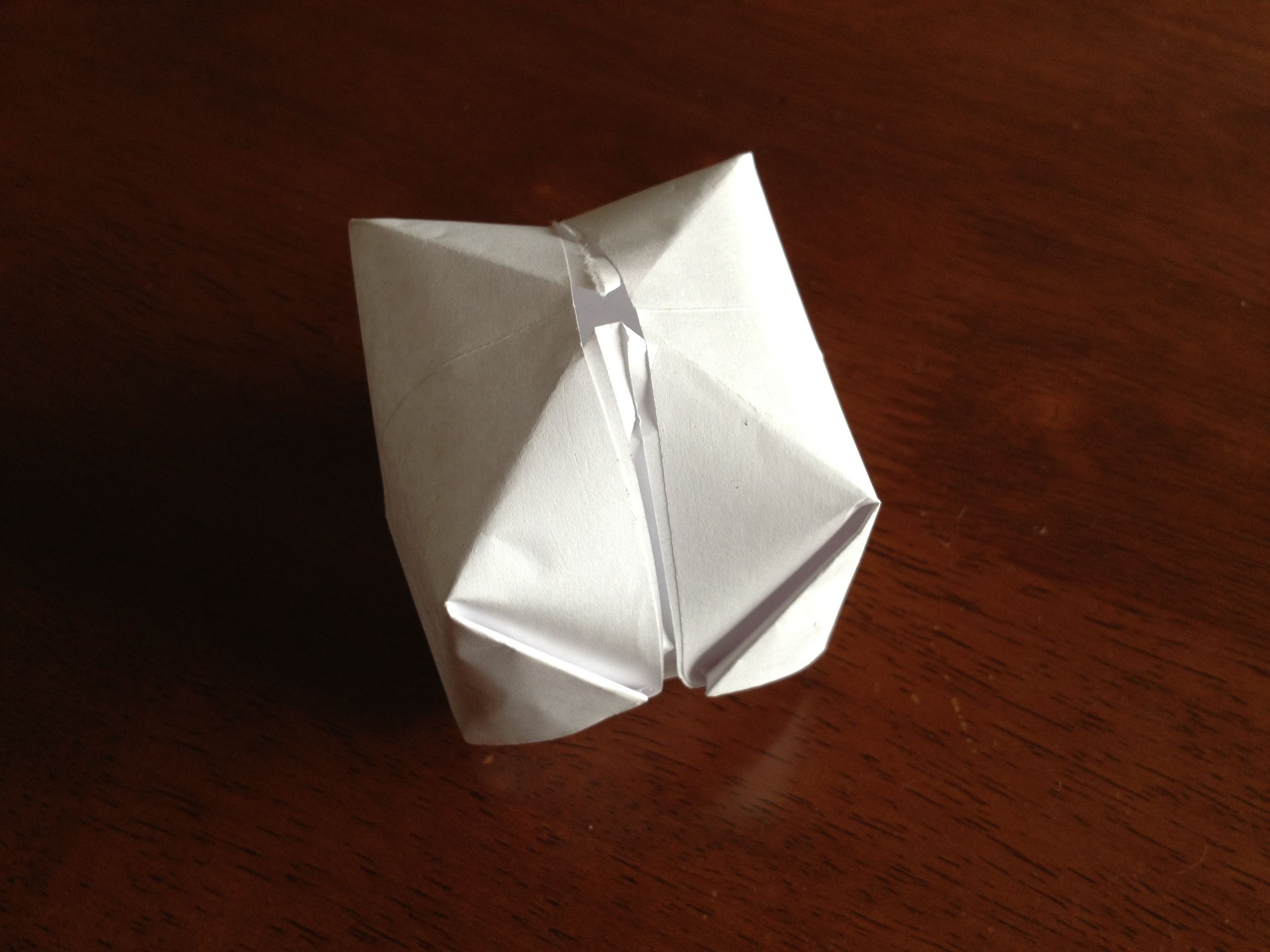Origami Water Bomb