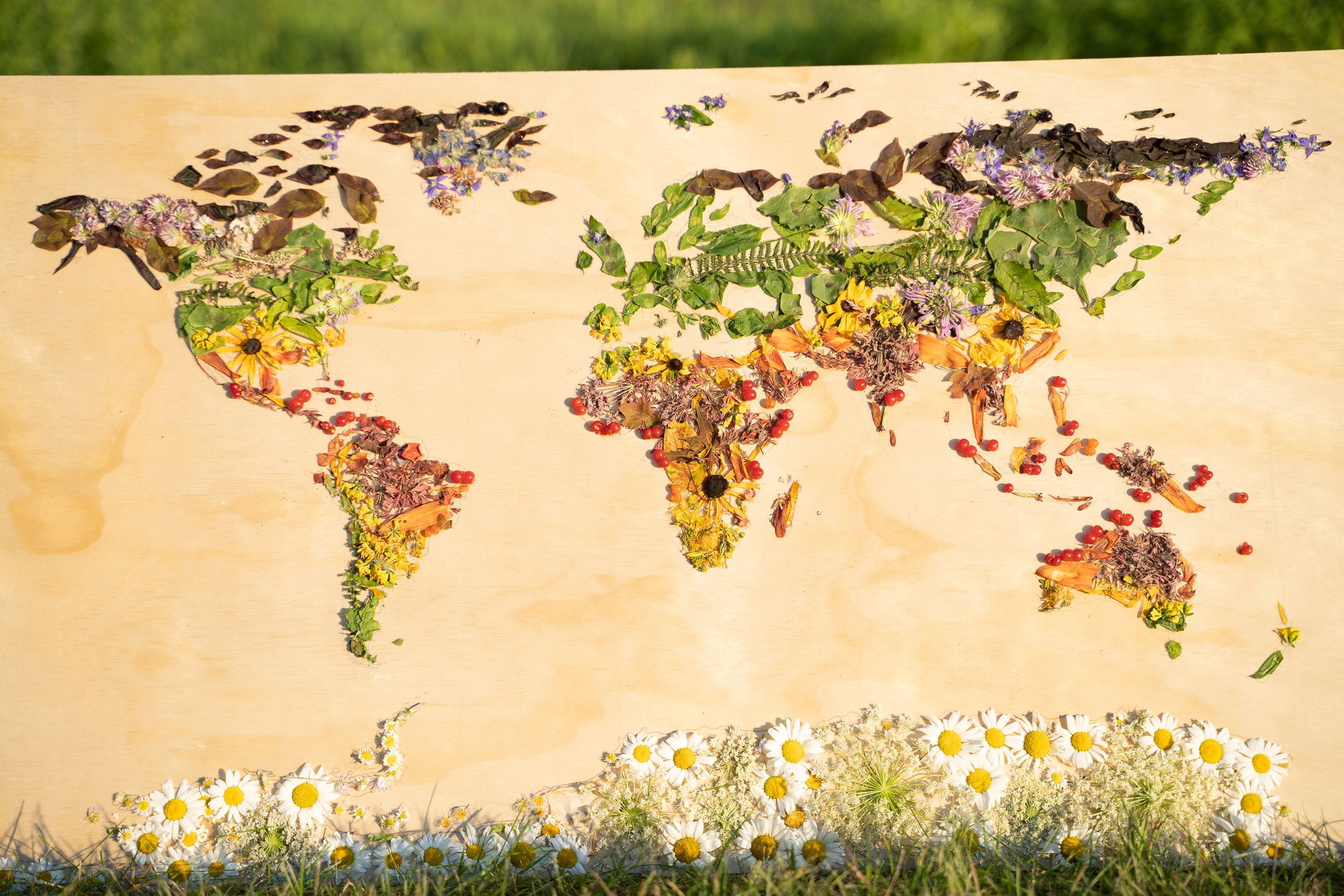 Creating a Map With Flowers + Constructing Your Own Artistic Style : 5 ...