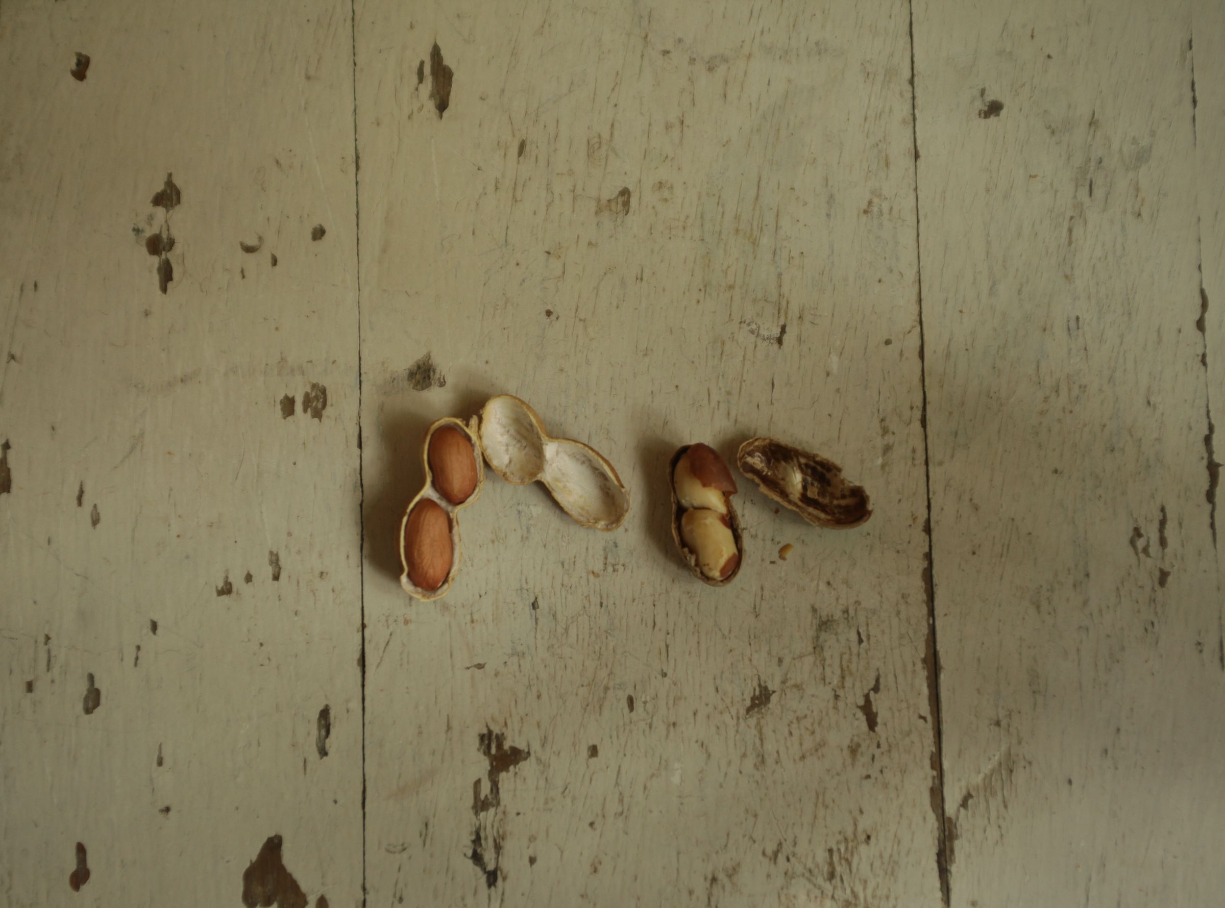 Florida Boiled Peanuts : 5 Steps (with Pictures) - Instructables