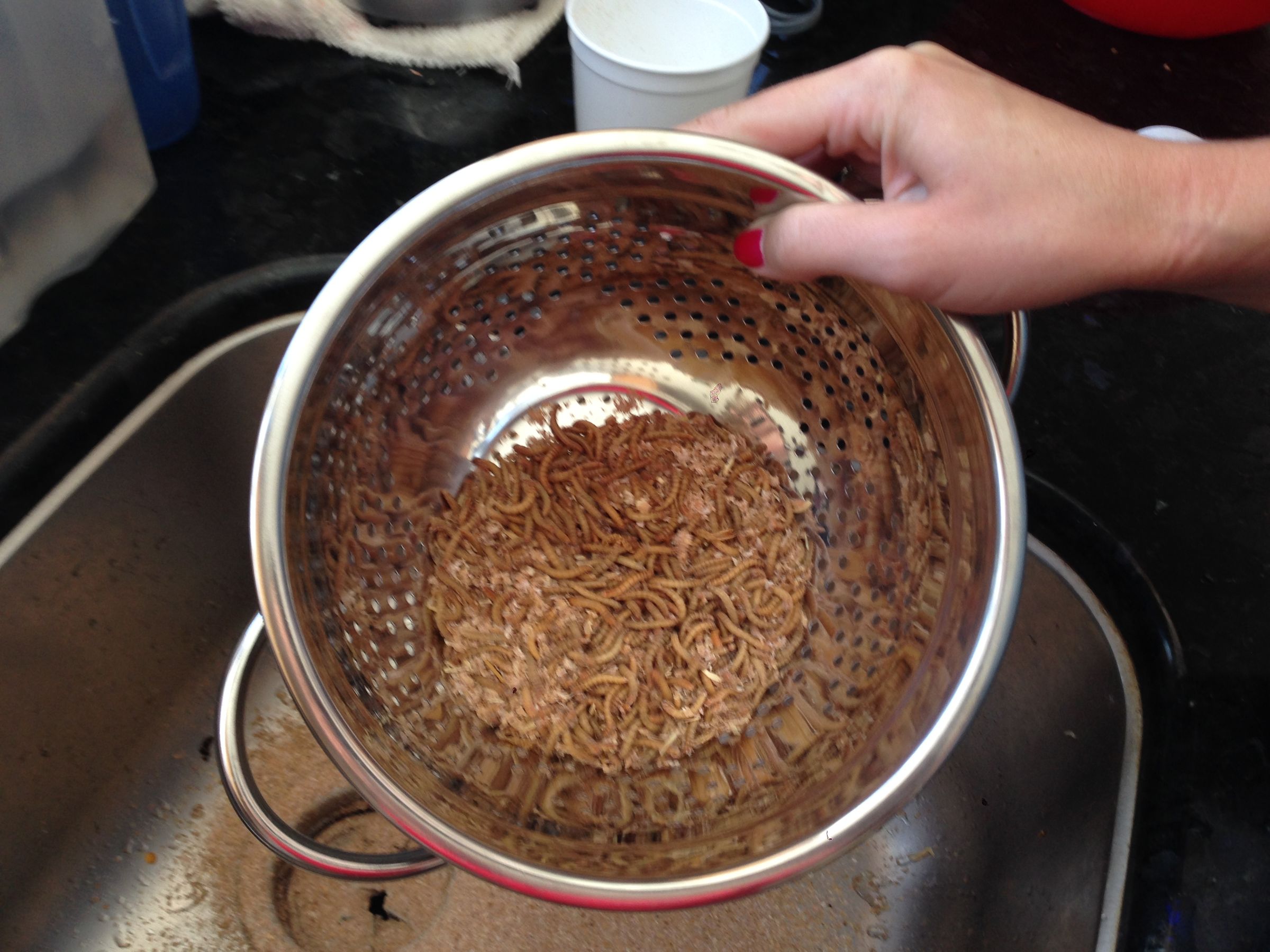 Rice Crispy Critter Treats : 7 Steps (with Pictures) - Instructables