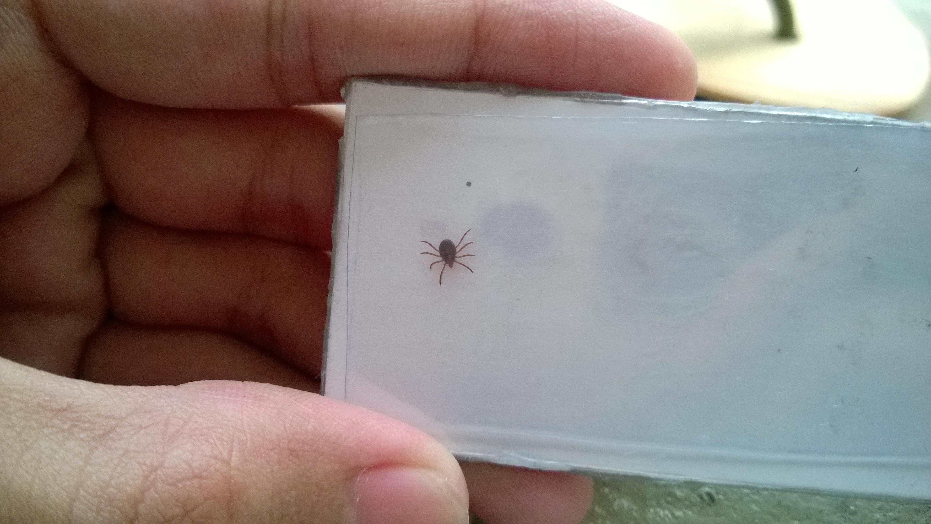 Recycled Glass Microscope : 11 Steps - Instructables