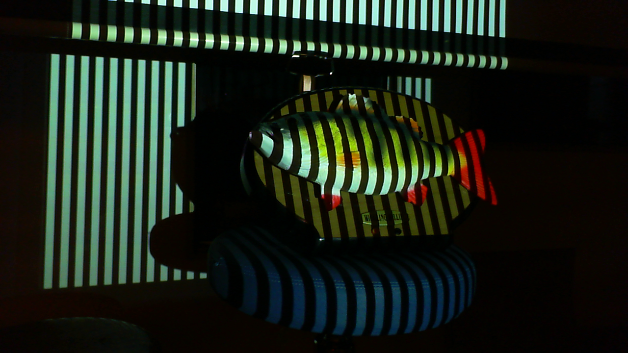 DIY 3D Scanner Based on Structured Light and Stereo Vision in Python ...