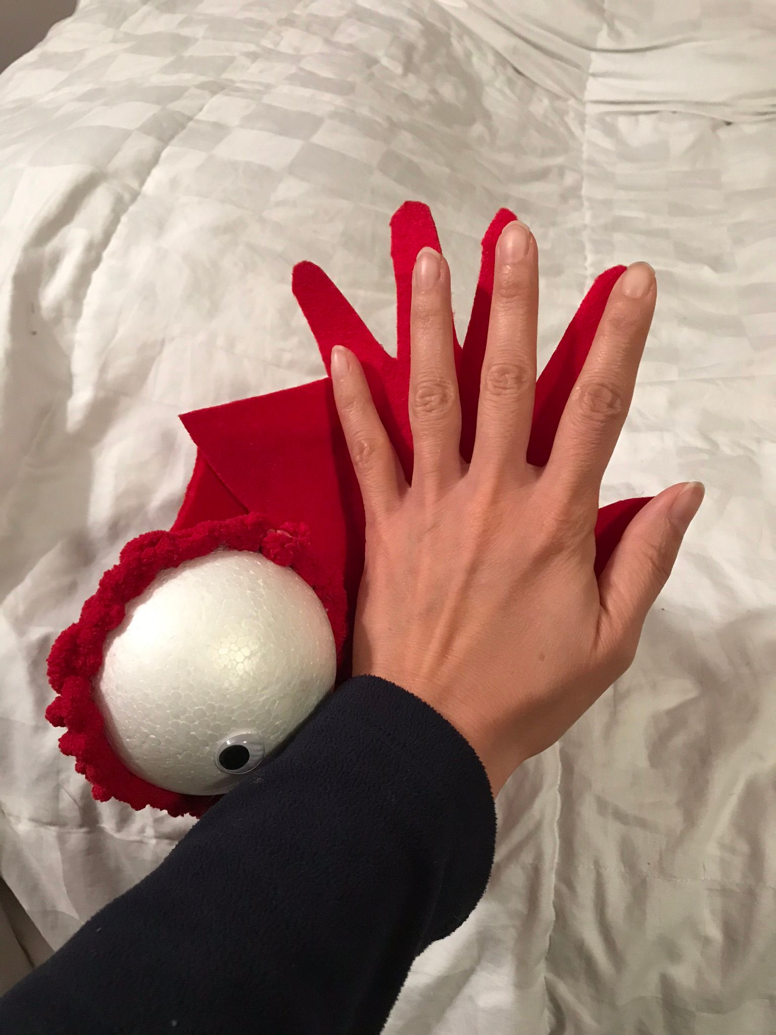 How to Make a Rooster Costume : 8 Steps (with Pictures) - Instructables