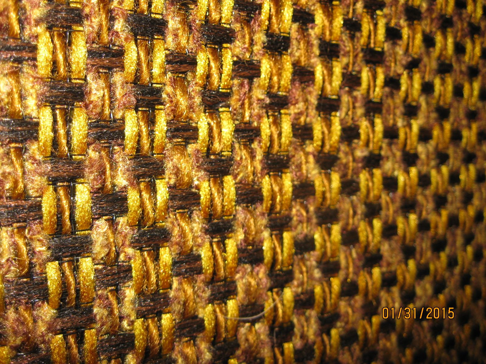 The Organ Donor Project- the Dissection : 5 Steps - Instructables