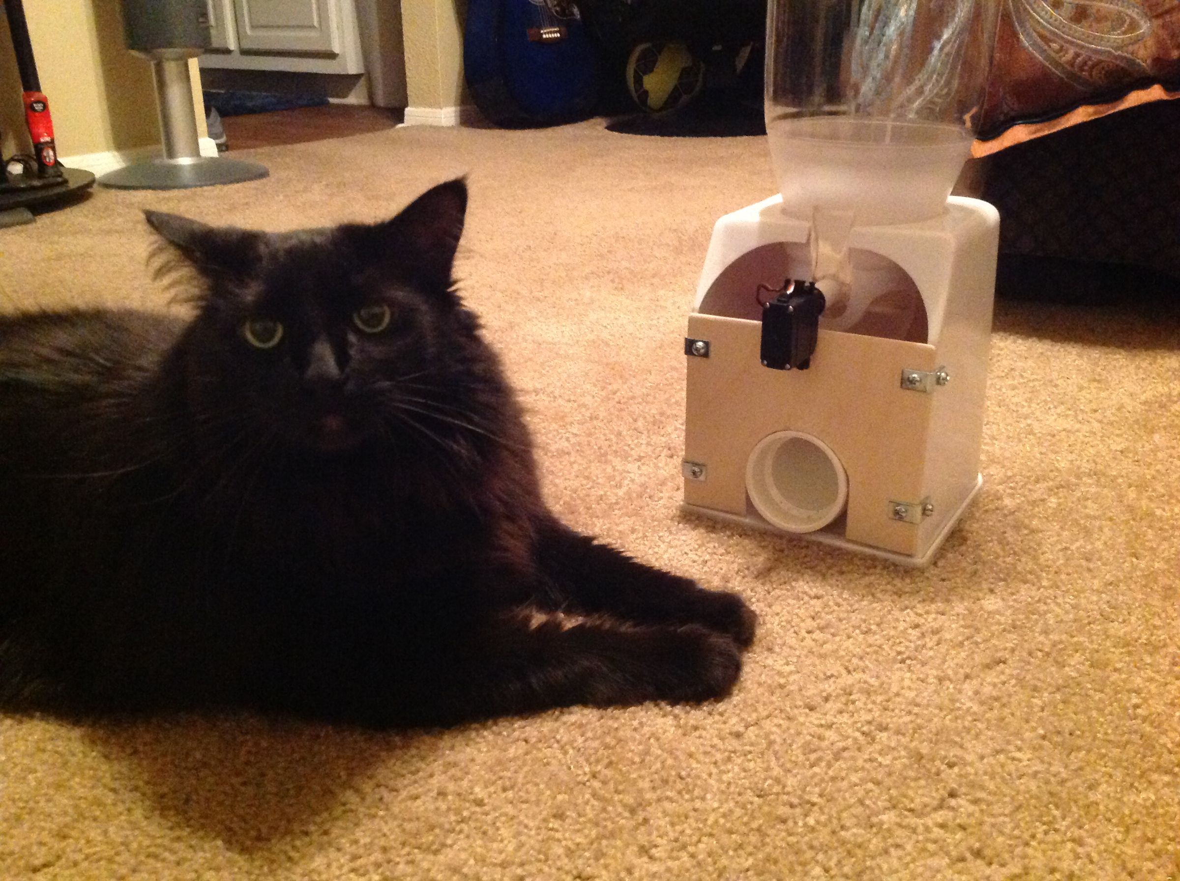 Fat Cat Automated Arduino Pet Feeder : 9 Steps (with Pictures ...