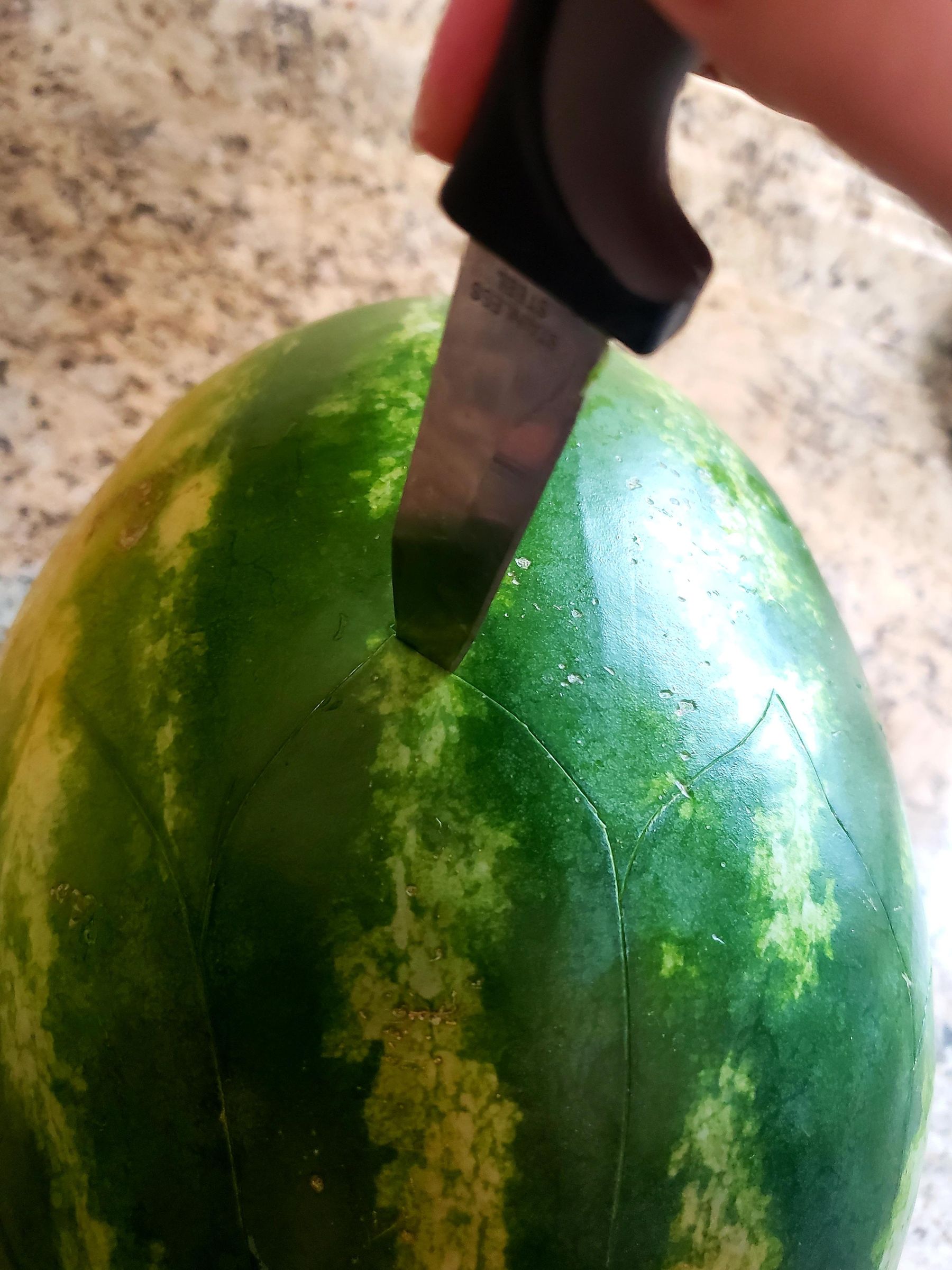 Watermelon Lotus Flower Carving! : 17 Steps (with Pictures) - Instructables