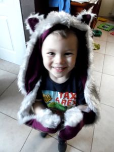 Wolf Hood / Animal Hood - All Sizes : 7 Steps (with Pictures ...