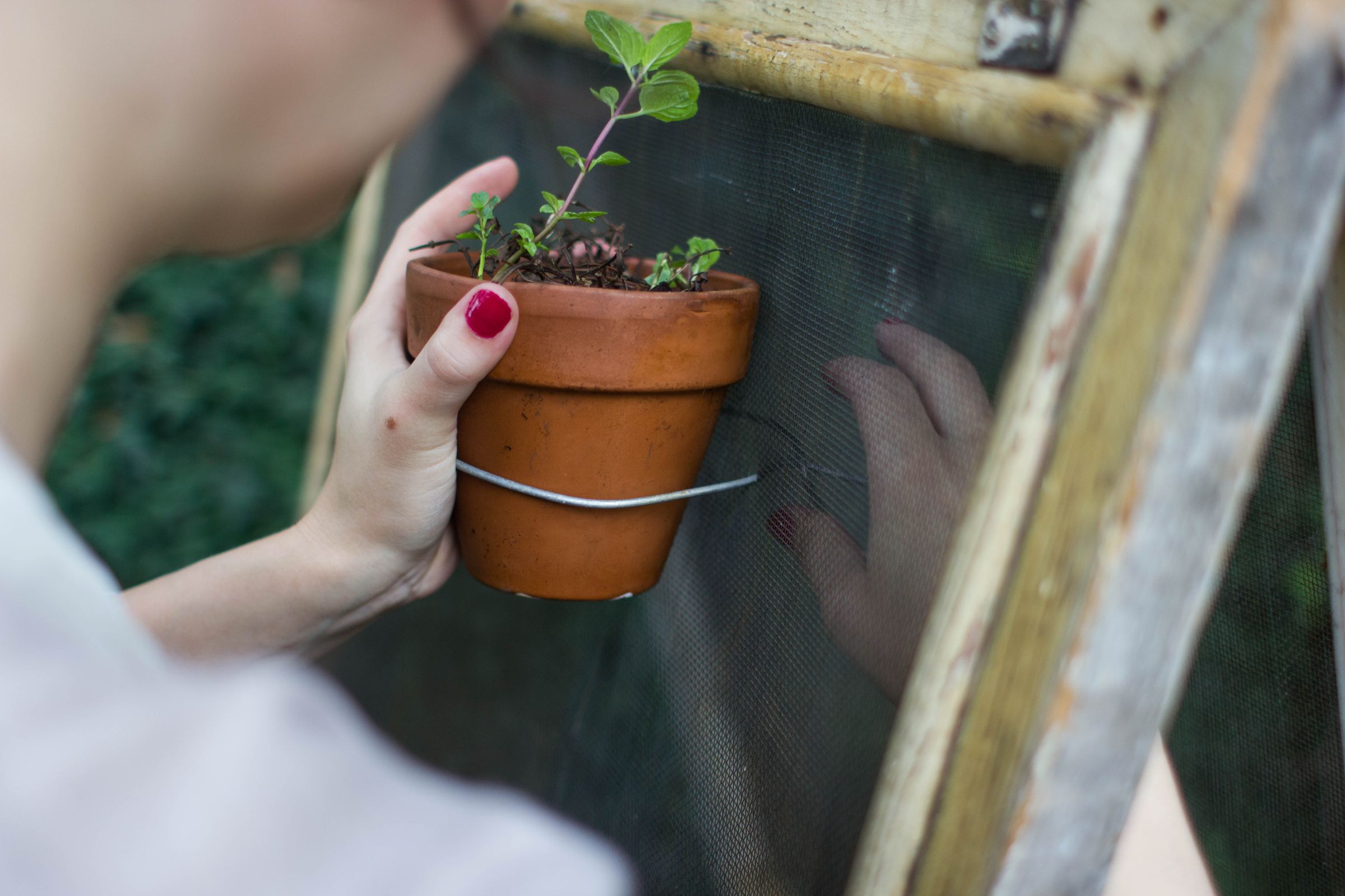 DIY Herb Garden : 5 Steps (with Pictures) - Instructables