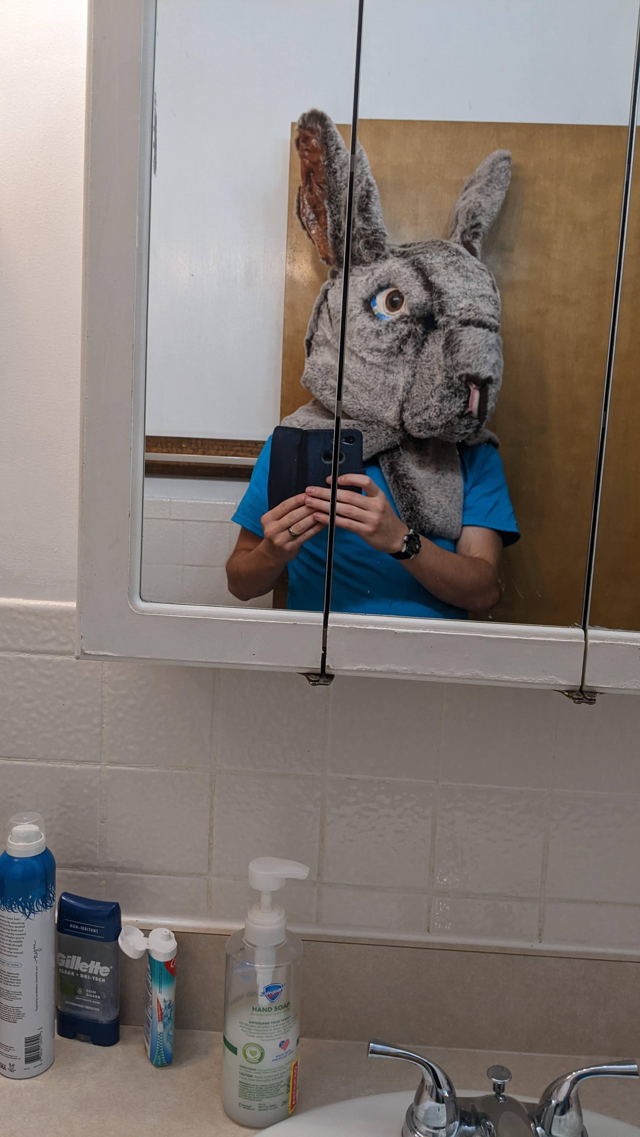 Realistic Bunny Head Costume : 7 Steps (with Pictures) - Instructables